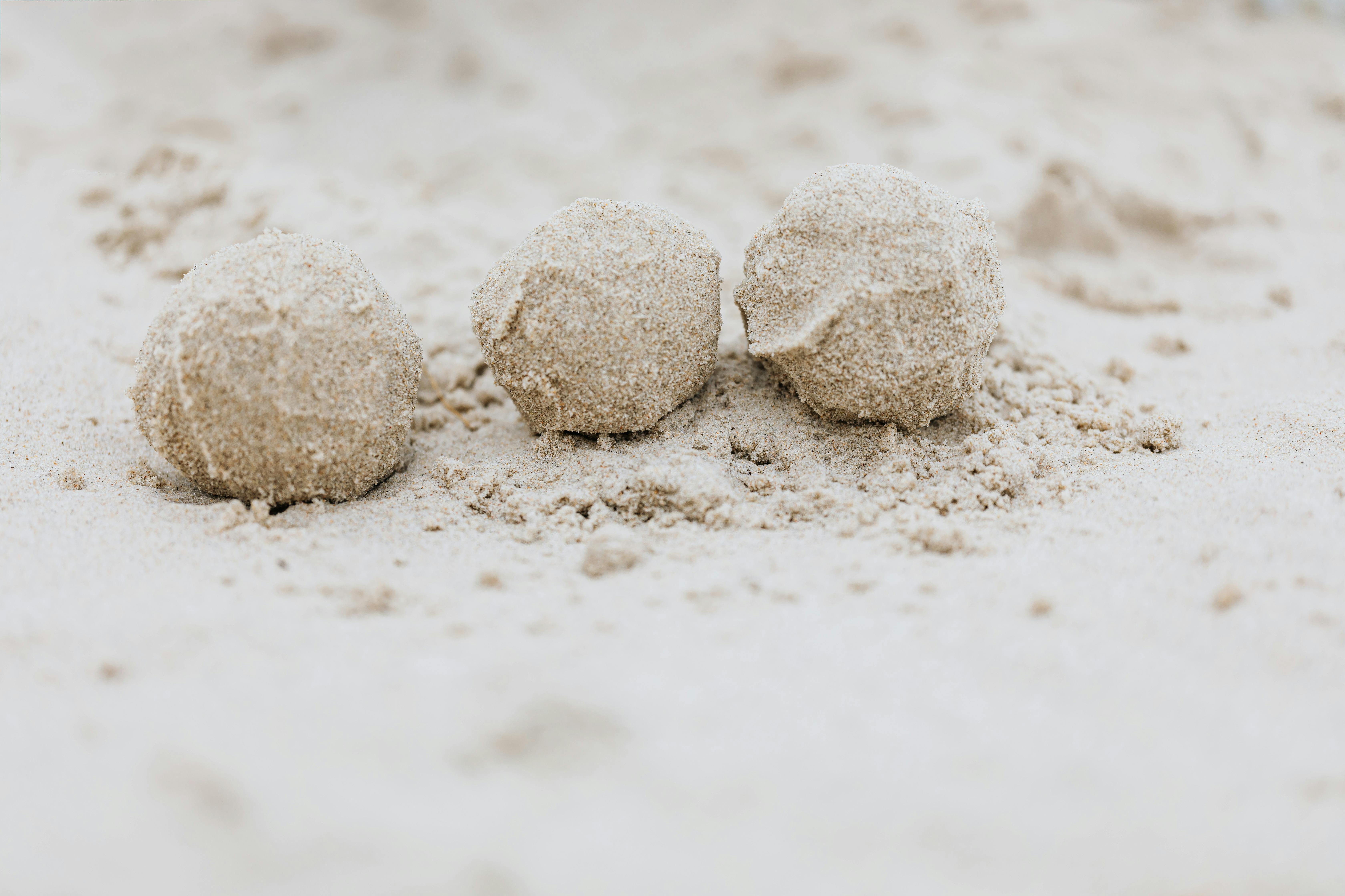Brown Stones on Brown Sand · Free Stock Photo