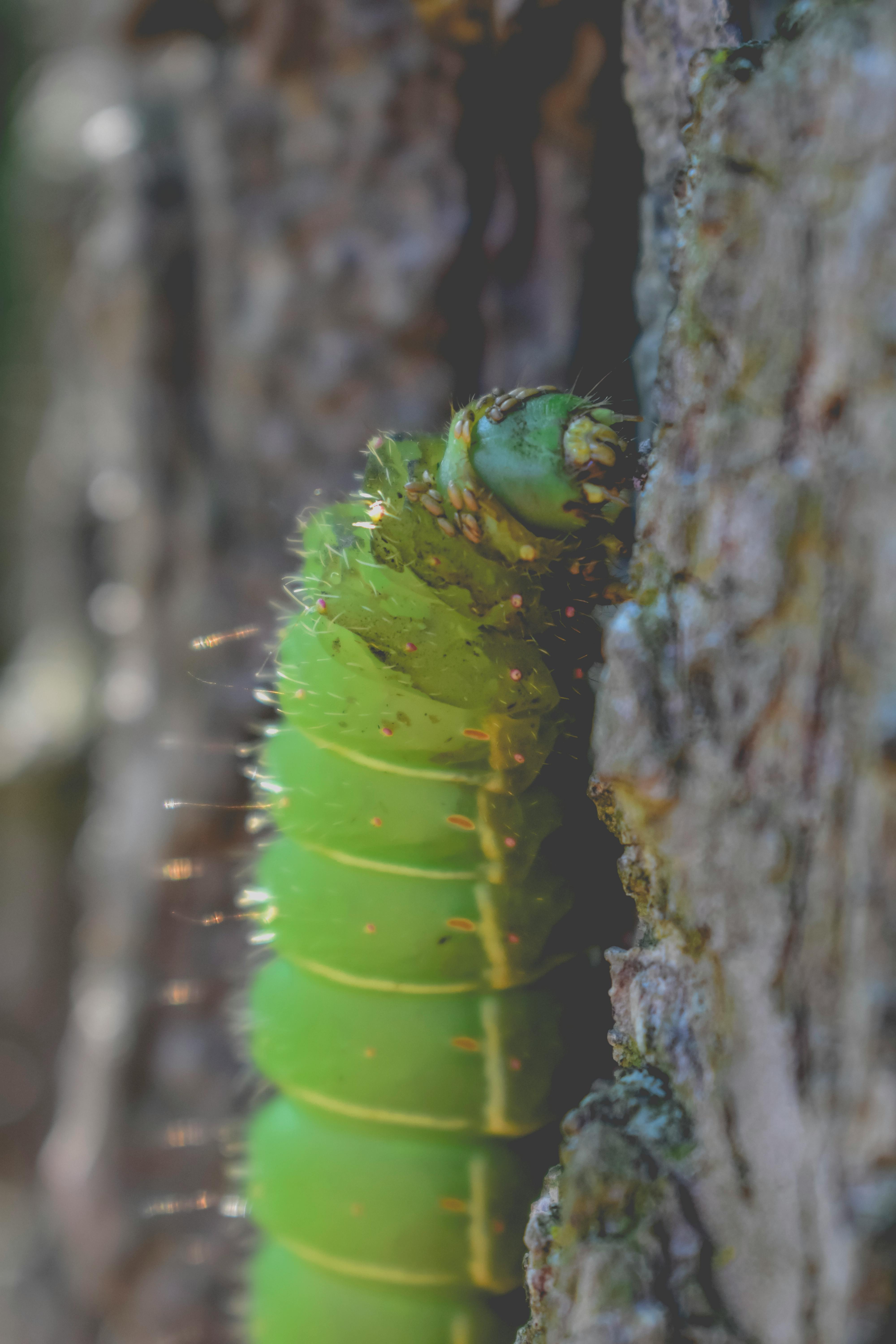 Tiny Day Photos, Download The BEST Free Tiny Day Stock Photos & HD Images