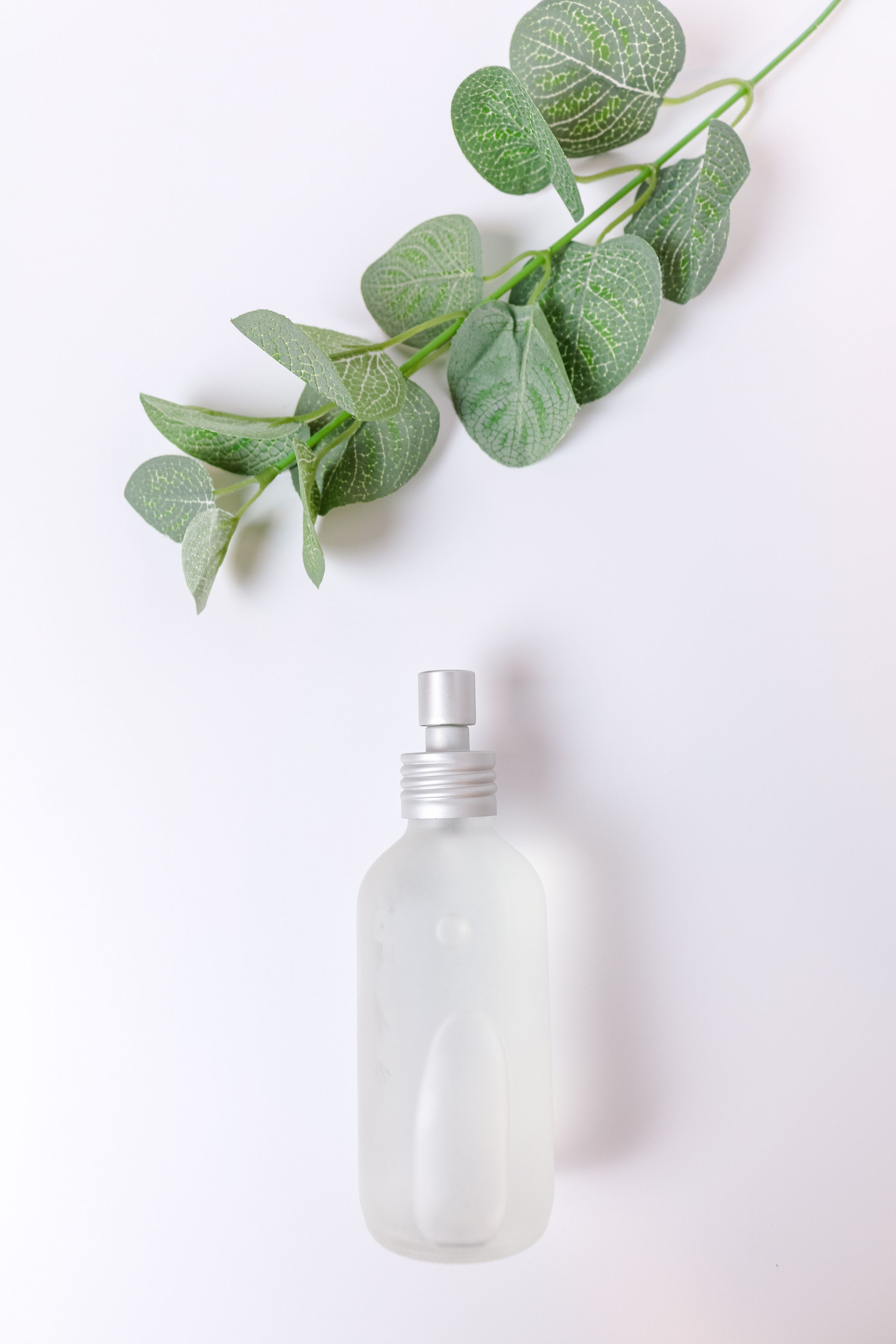 Green Leaves and Clear Spray Bottle · Free Stock Photo