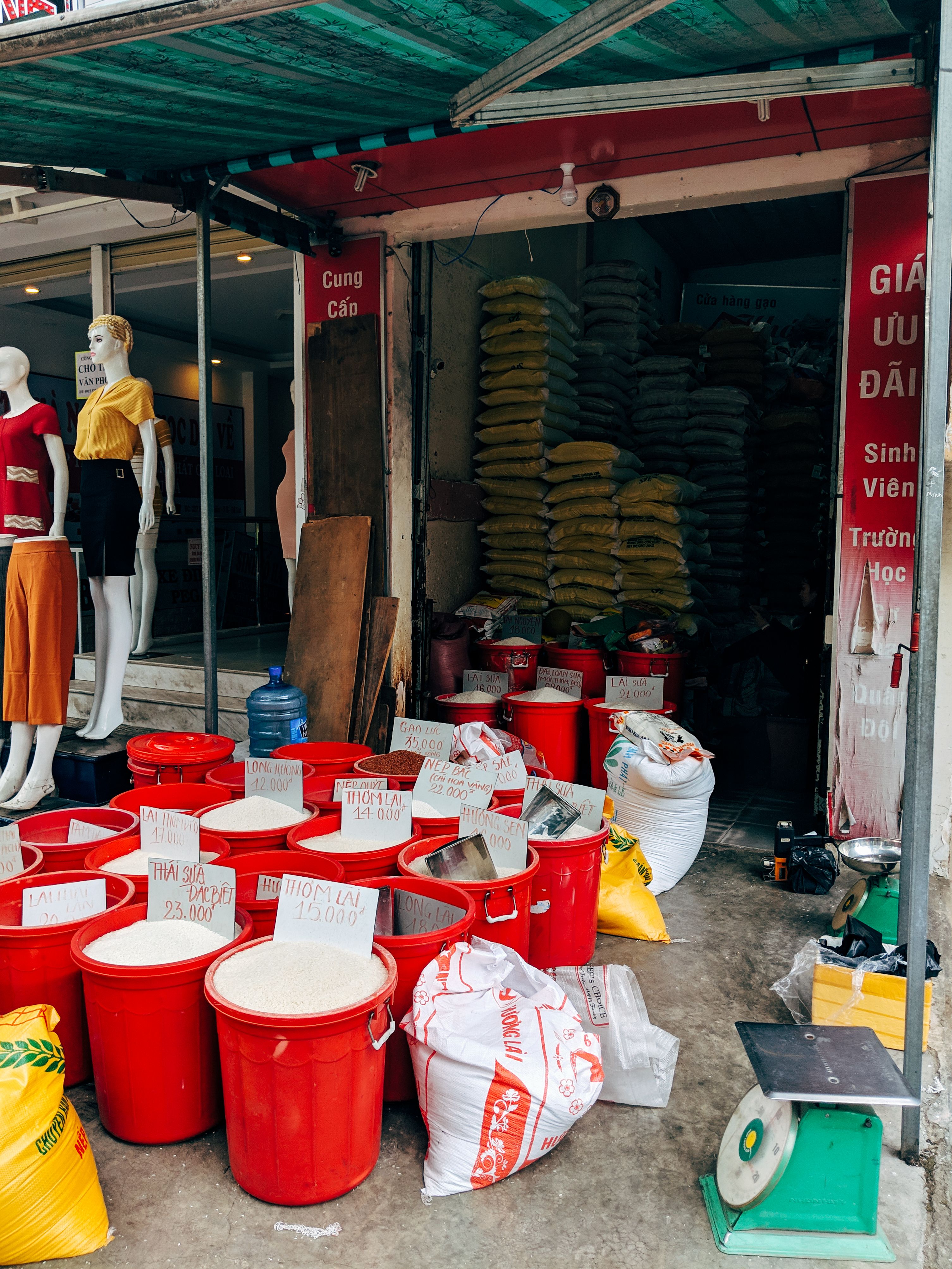 Dalat Photos, Download The BEST Free Dalat Stock Photos & HD Images