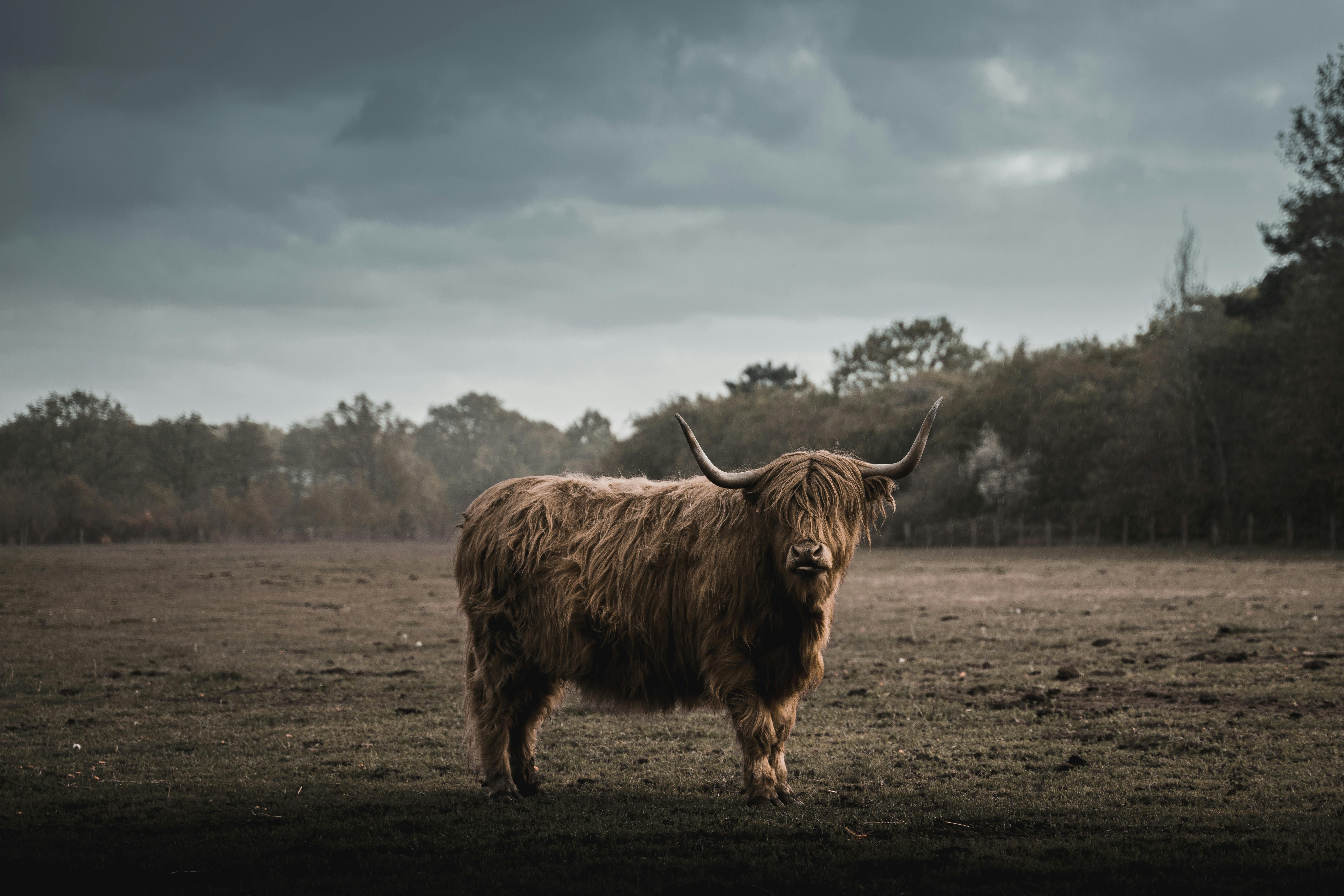 Sebastian Beck - Photography