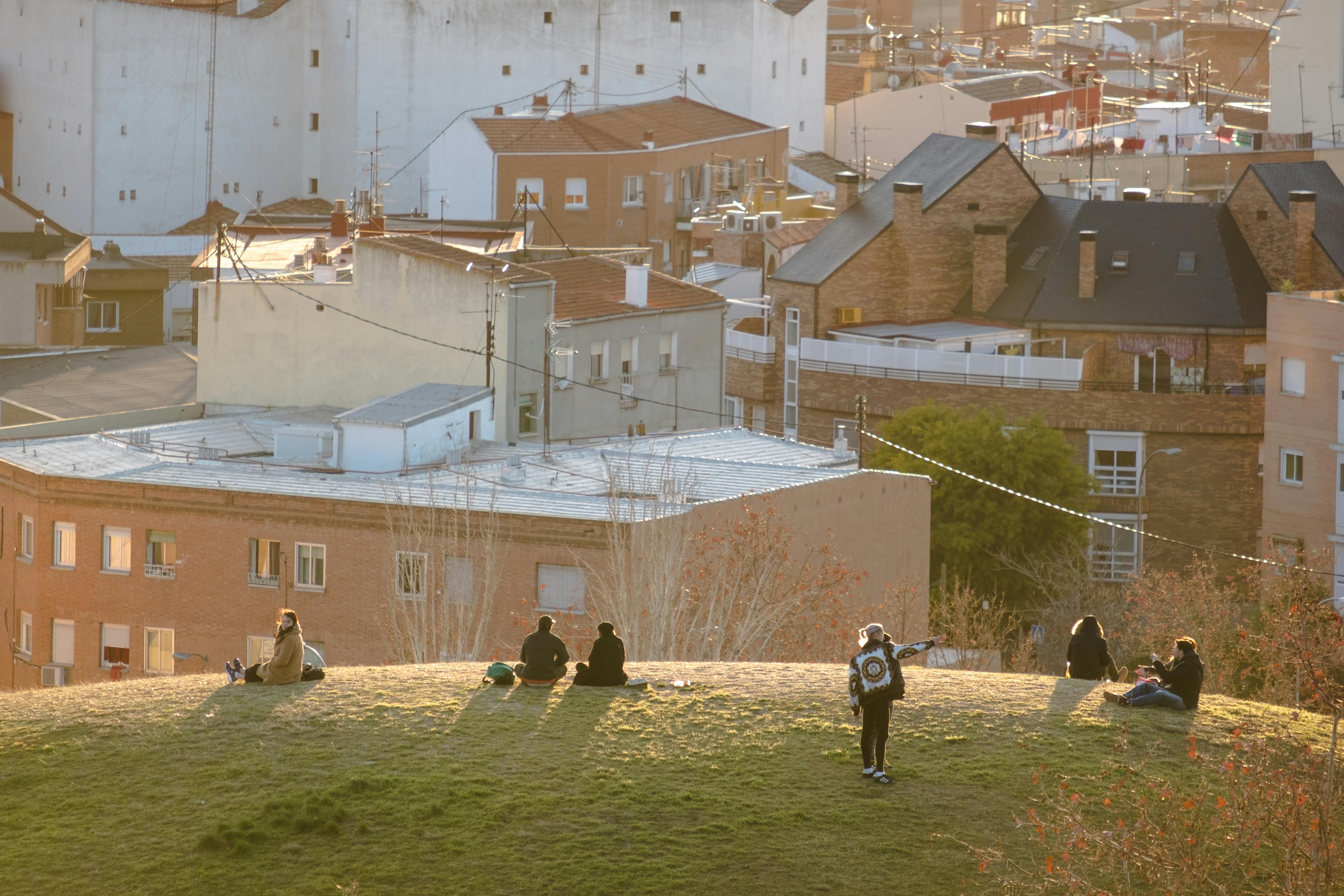People Sitting and Walking on Green Grass Field · Free Stock Photo