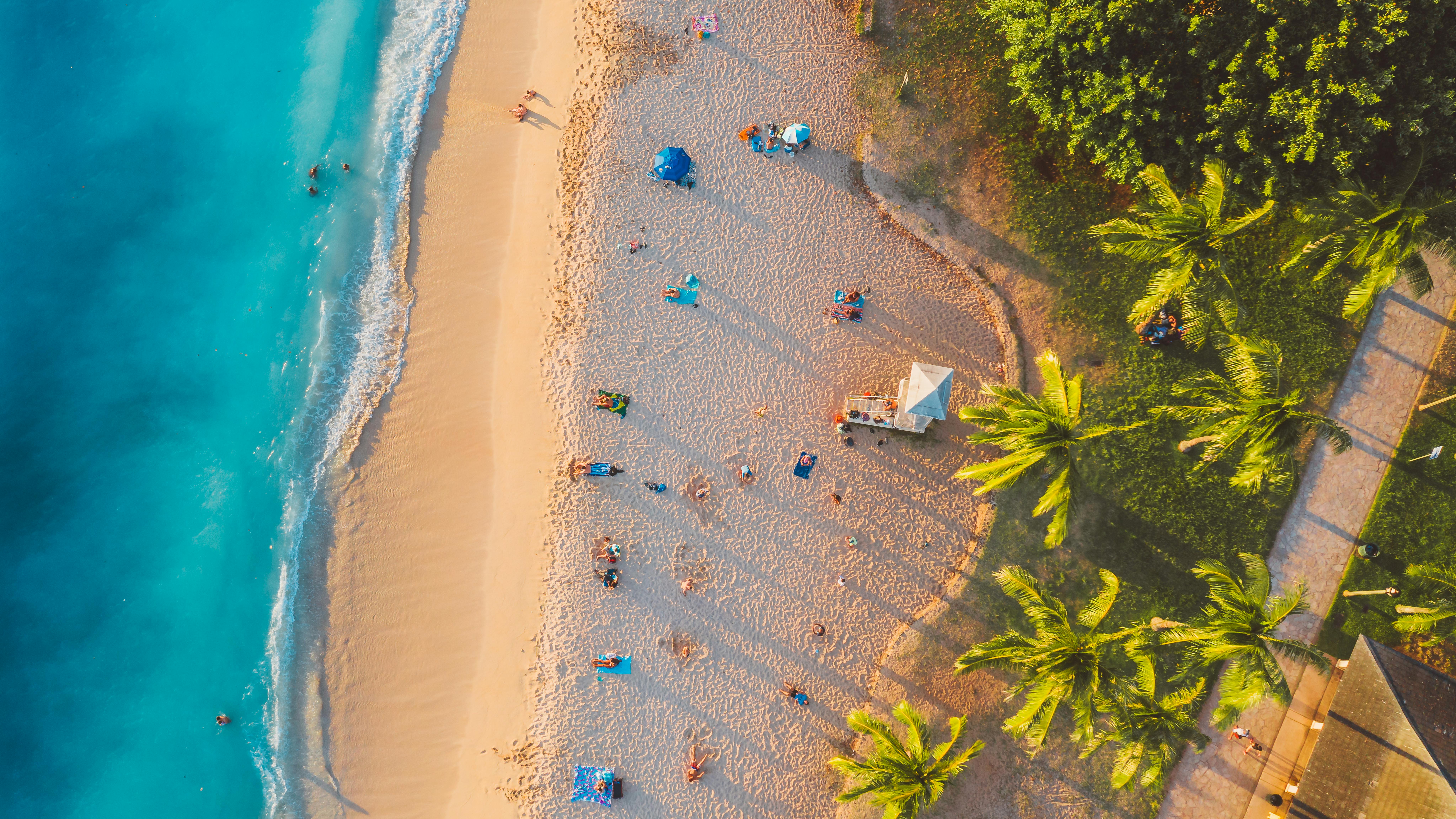 People on a Beautiful Beach · Free Stock Photo