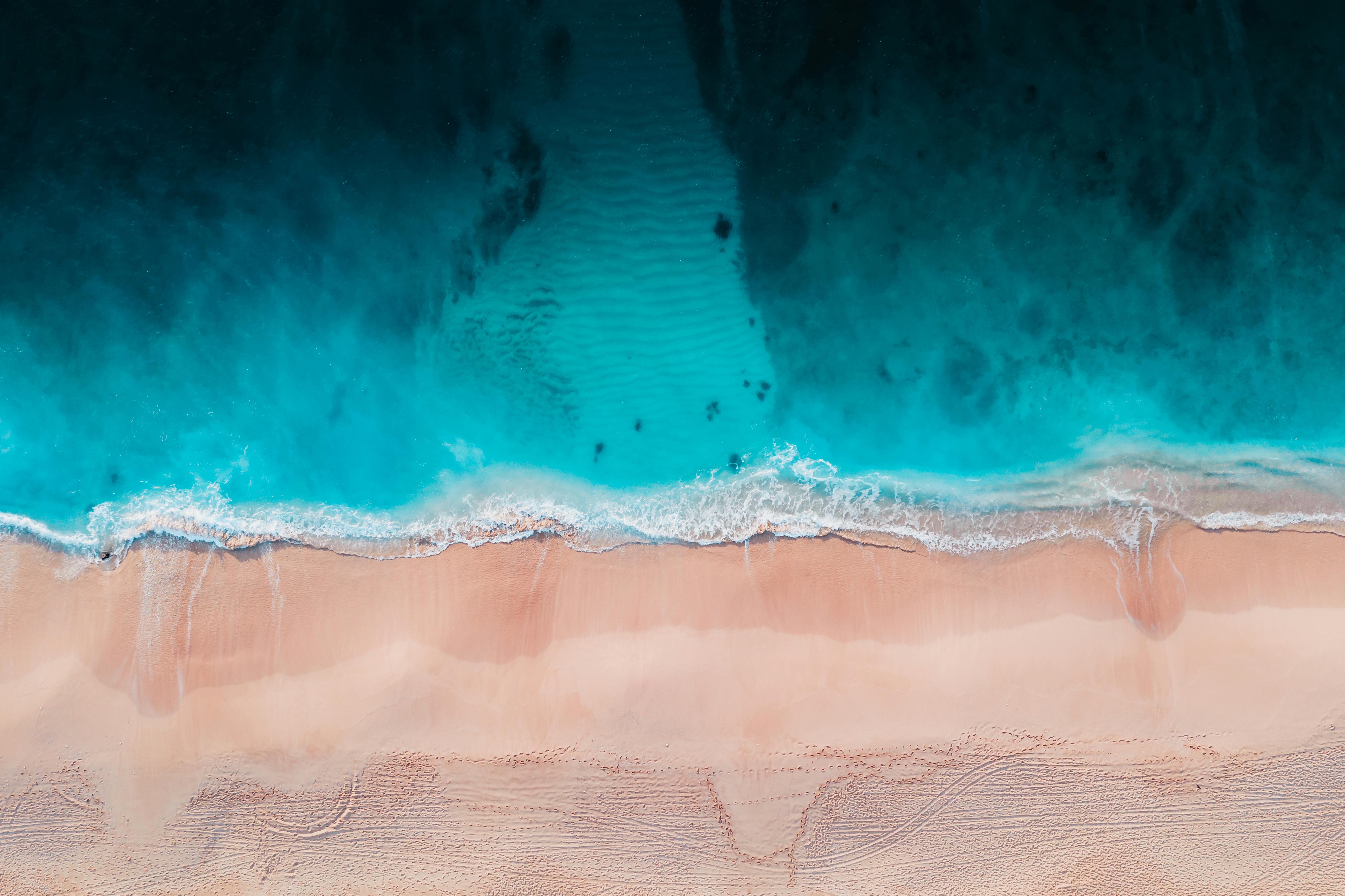 Top View of Beach and Sea · Free Stock Photo