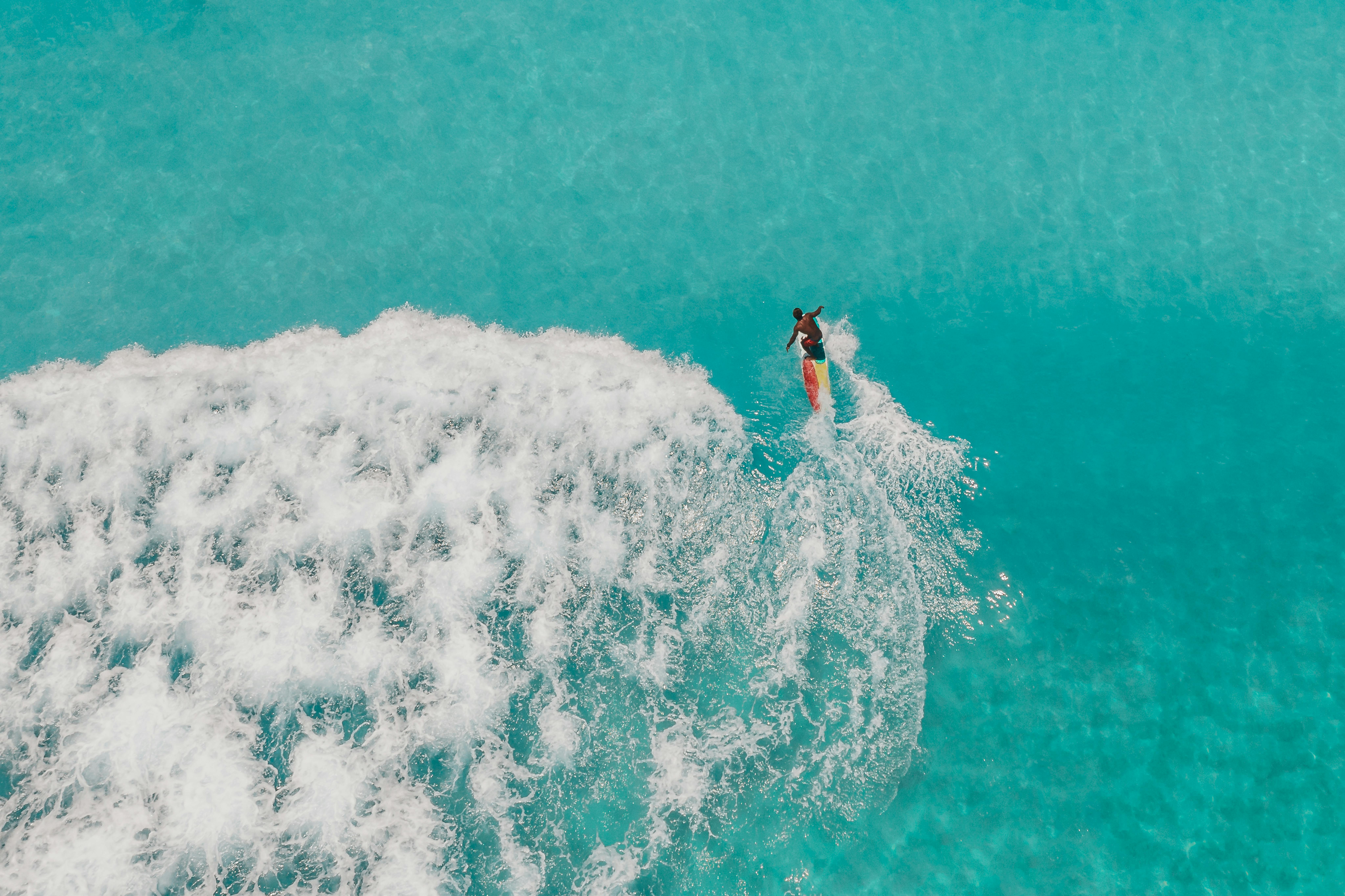 Top View of a Surfer · Free Stock Photo