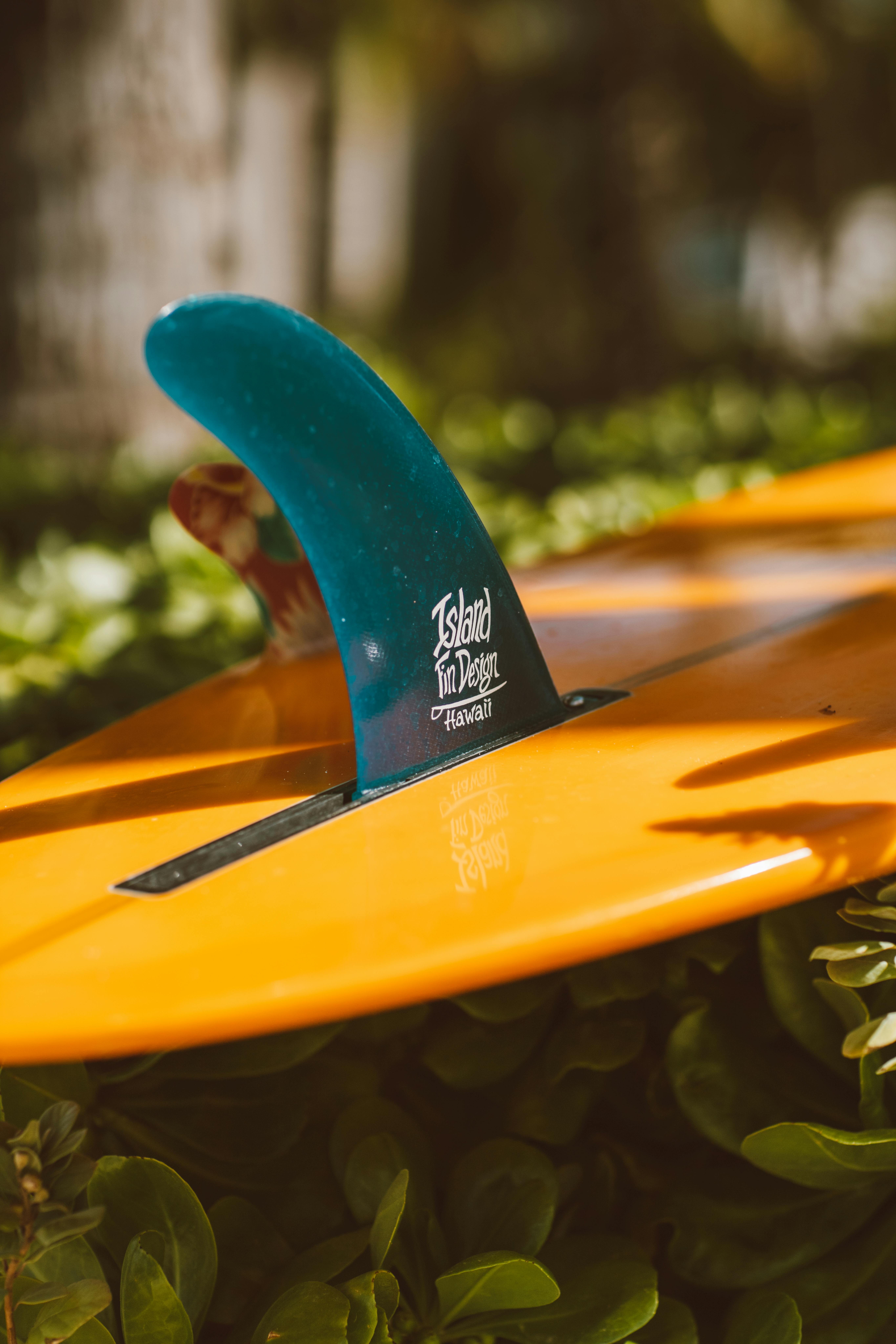 Close up of a Surfboard · Free Stock Photo