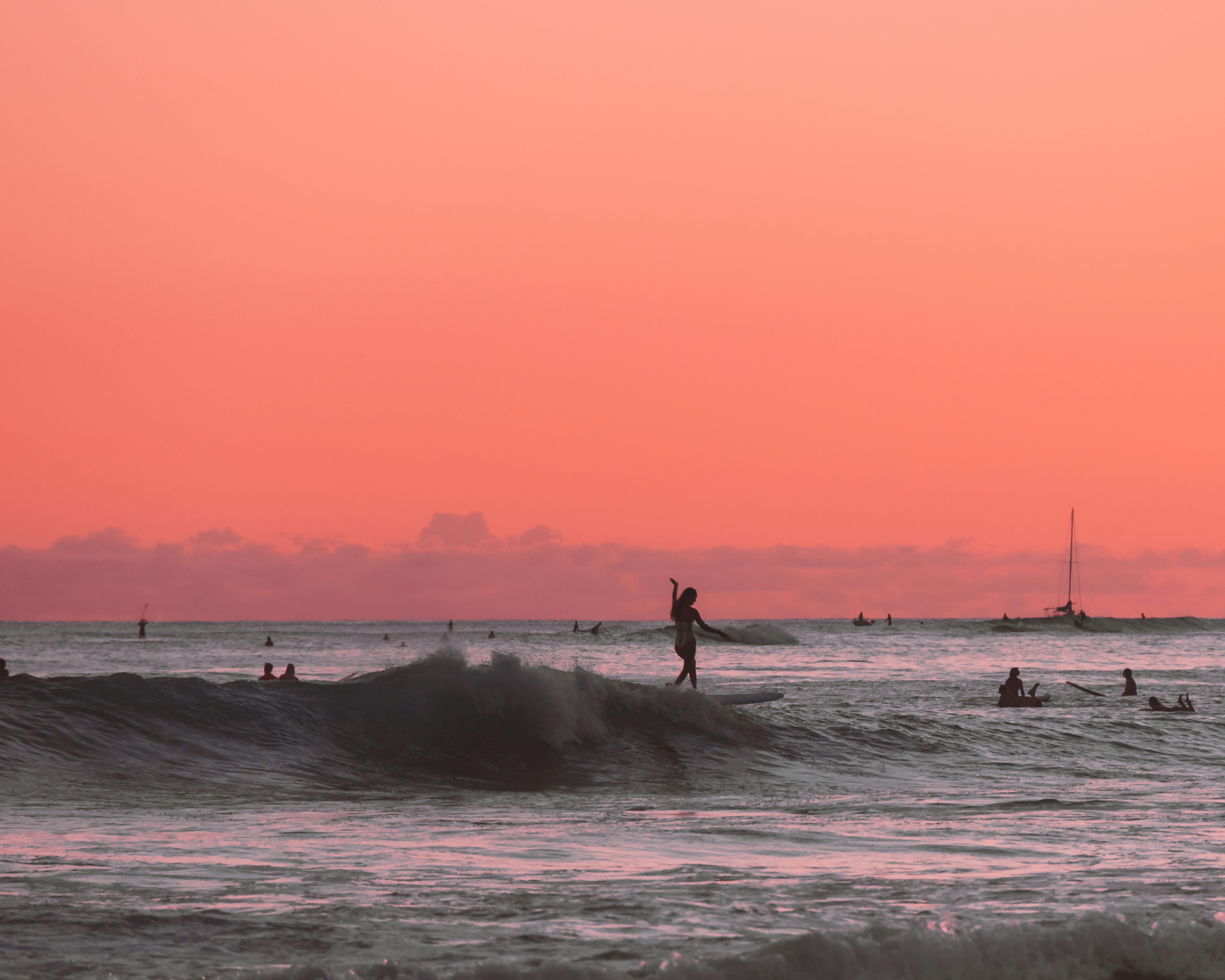 People Surfing on the Beach · Free Stock Photo