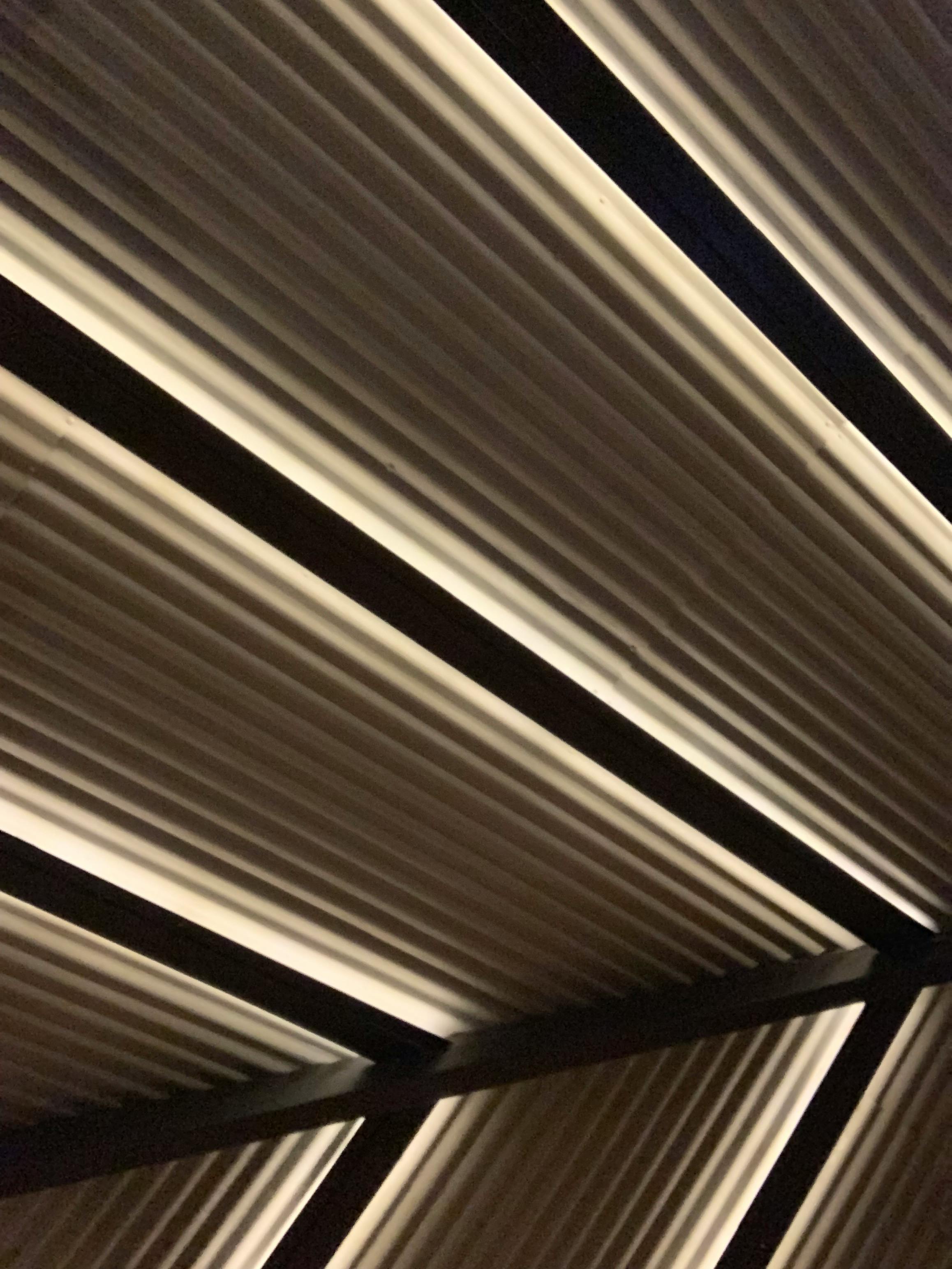 Sibi Mathew - Photography