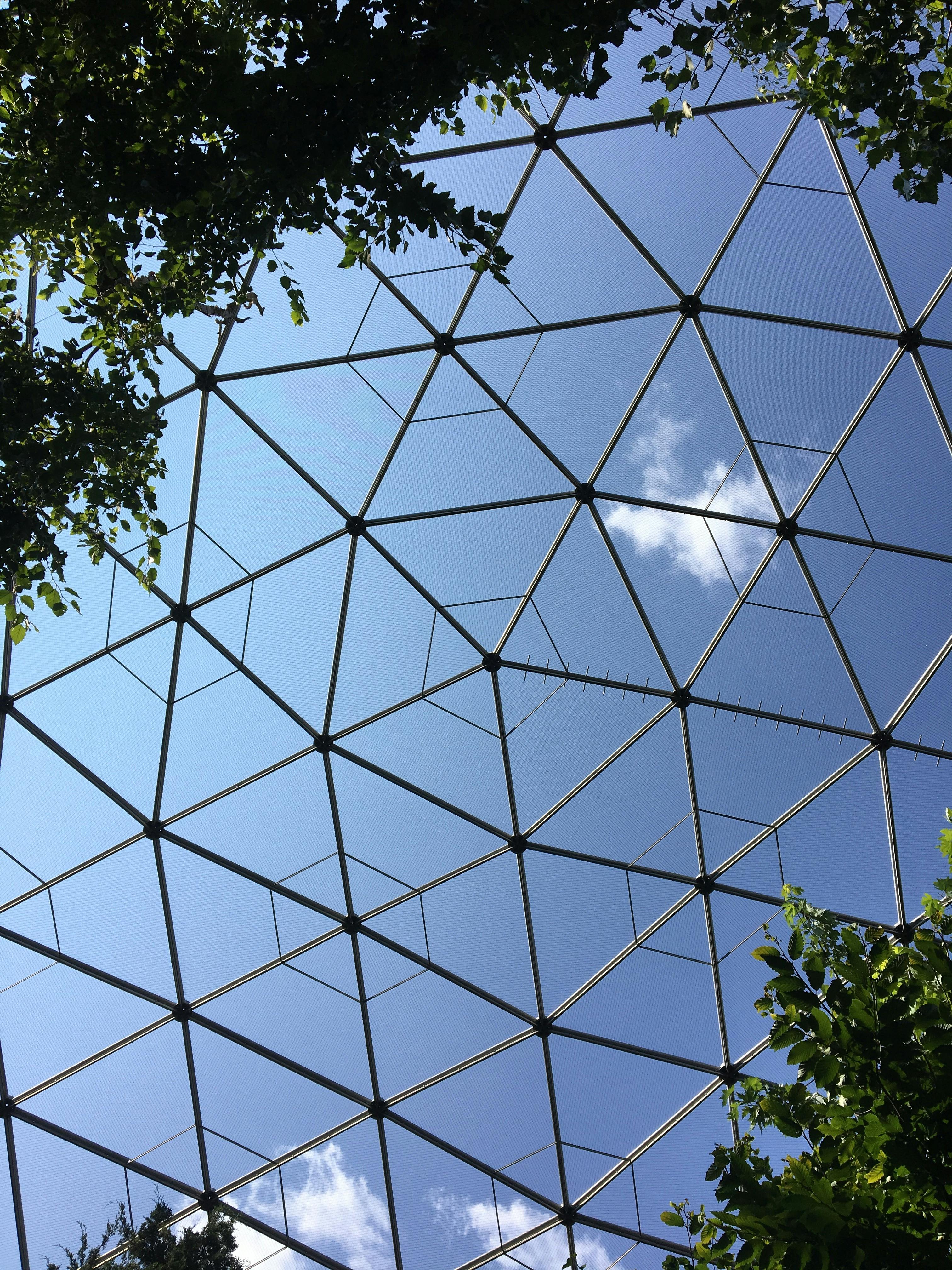 Sibi Mathew - 写真