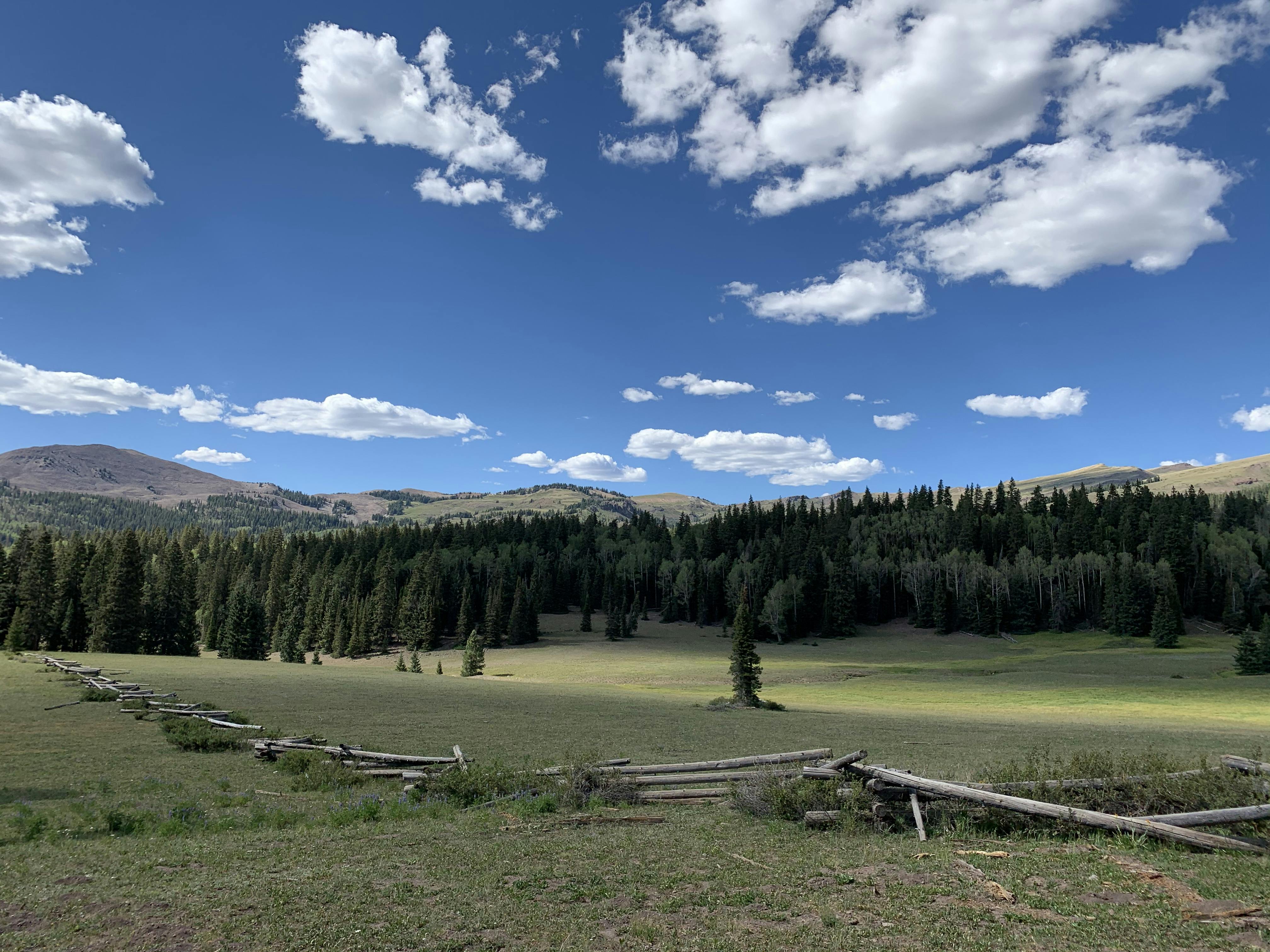 Aaron Pace 님의 Big John Flat 컬렉션 사진 및 동영상 8개