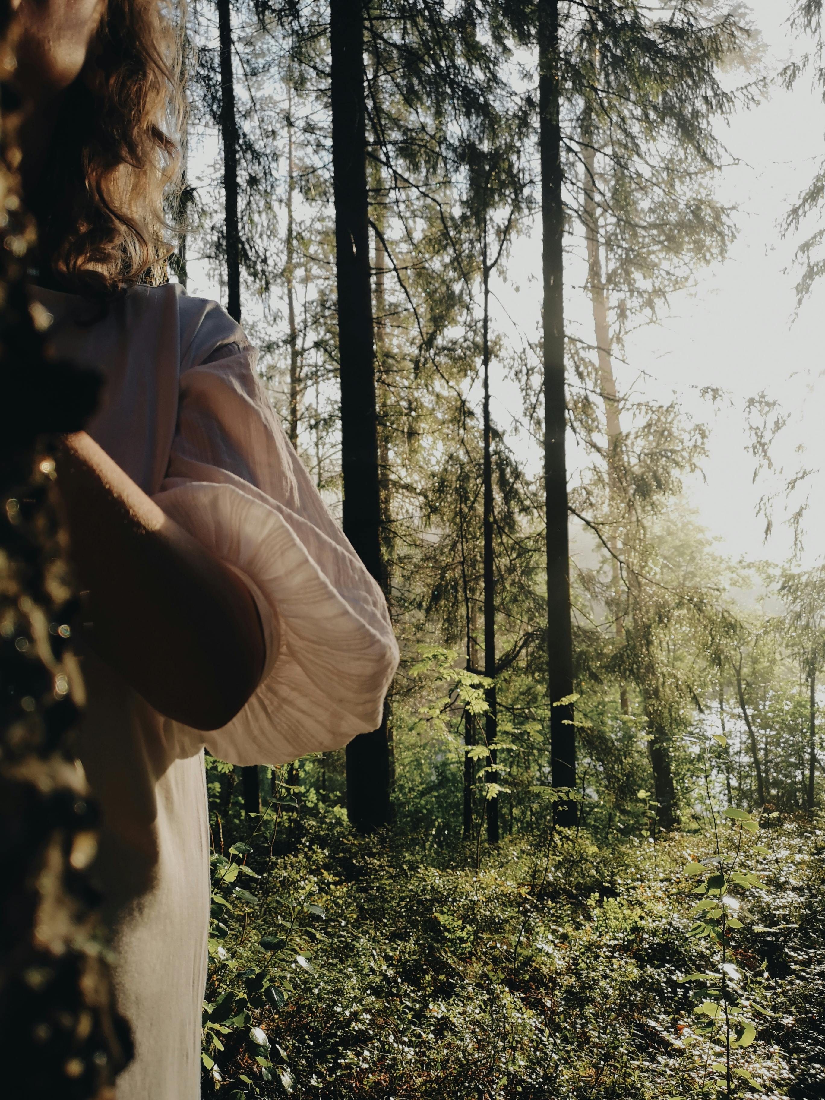 Person in a Forest · Free Stock Photo