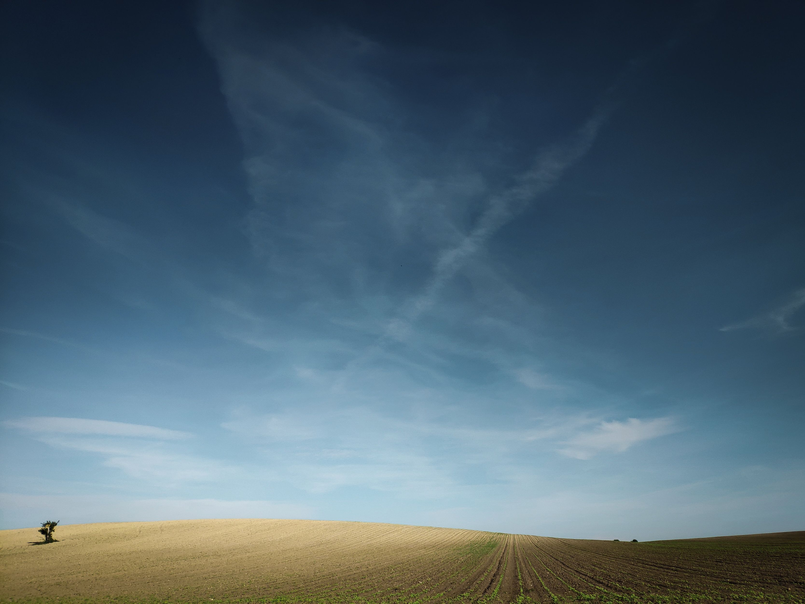 Blue Sky over a Field · Free Stock Photo