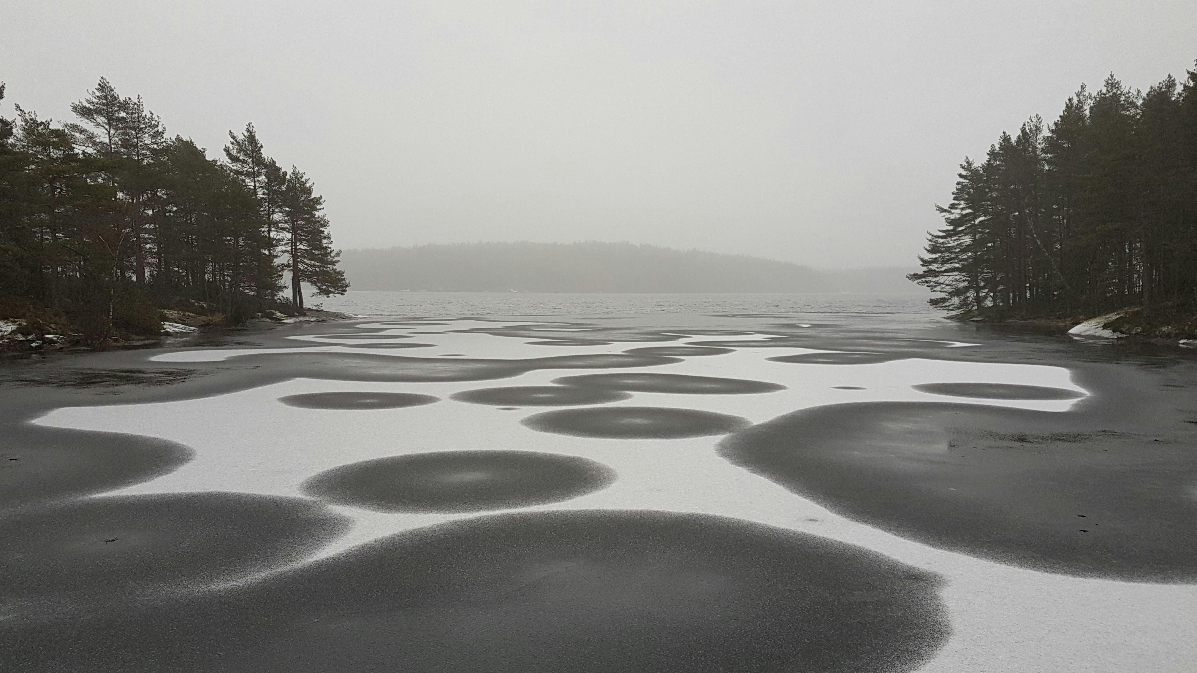Grayscale Photo of a Frozen Lake Between Trees · Free Stock Photo