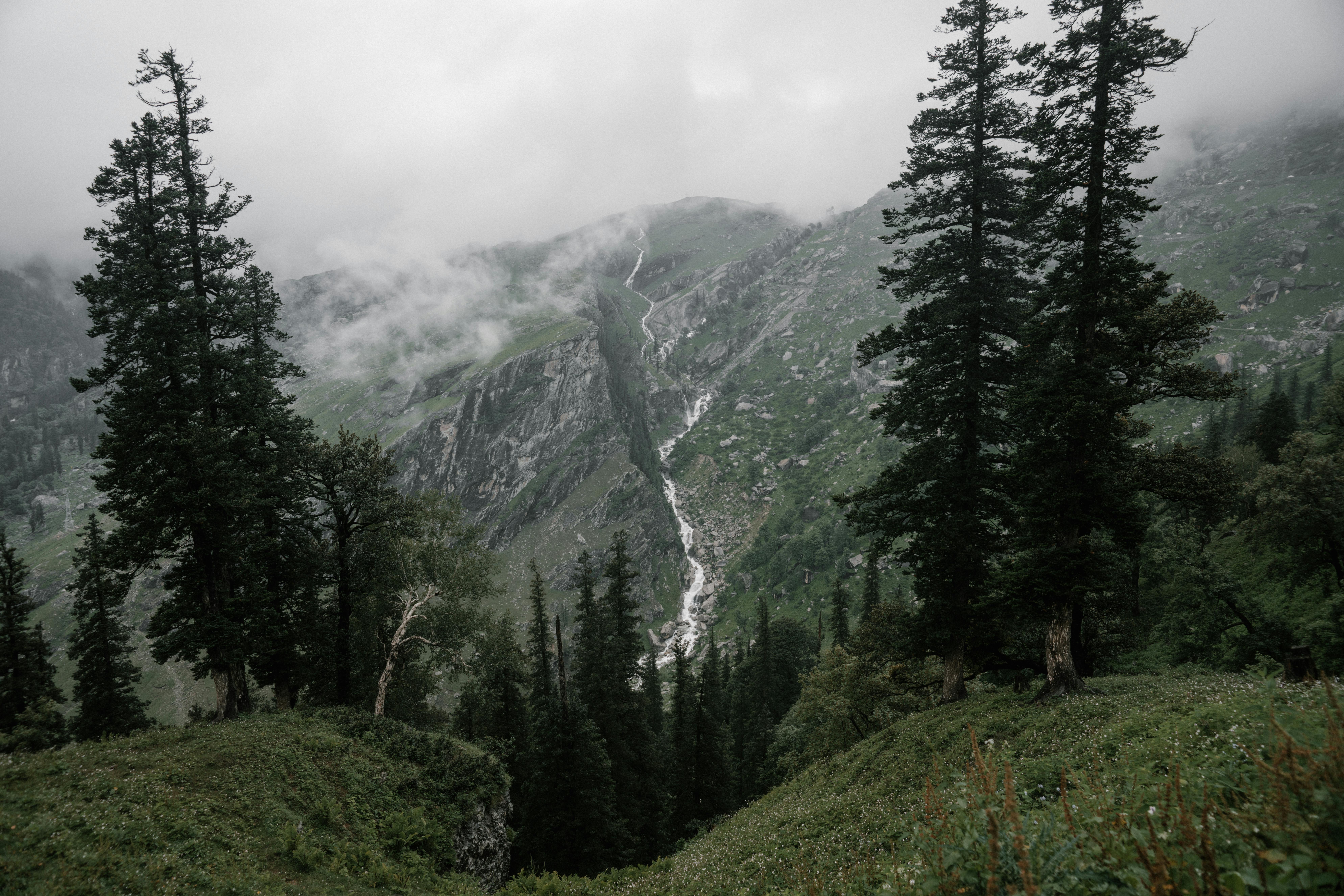Mountain Landscape with Trees · Free Stock Photo