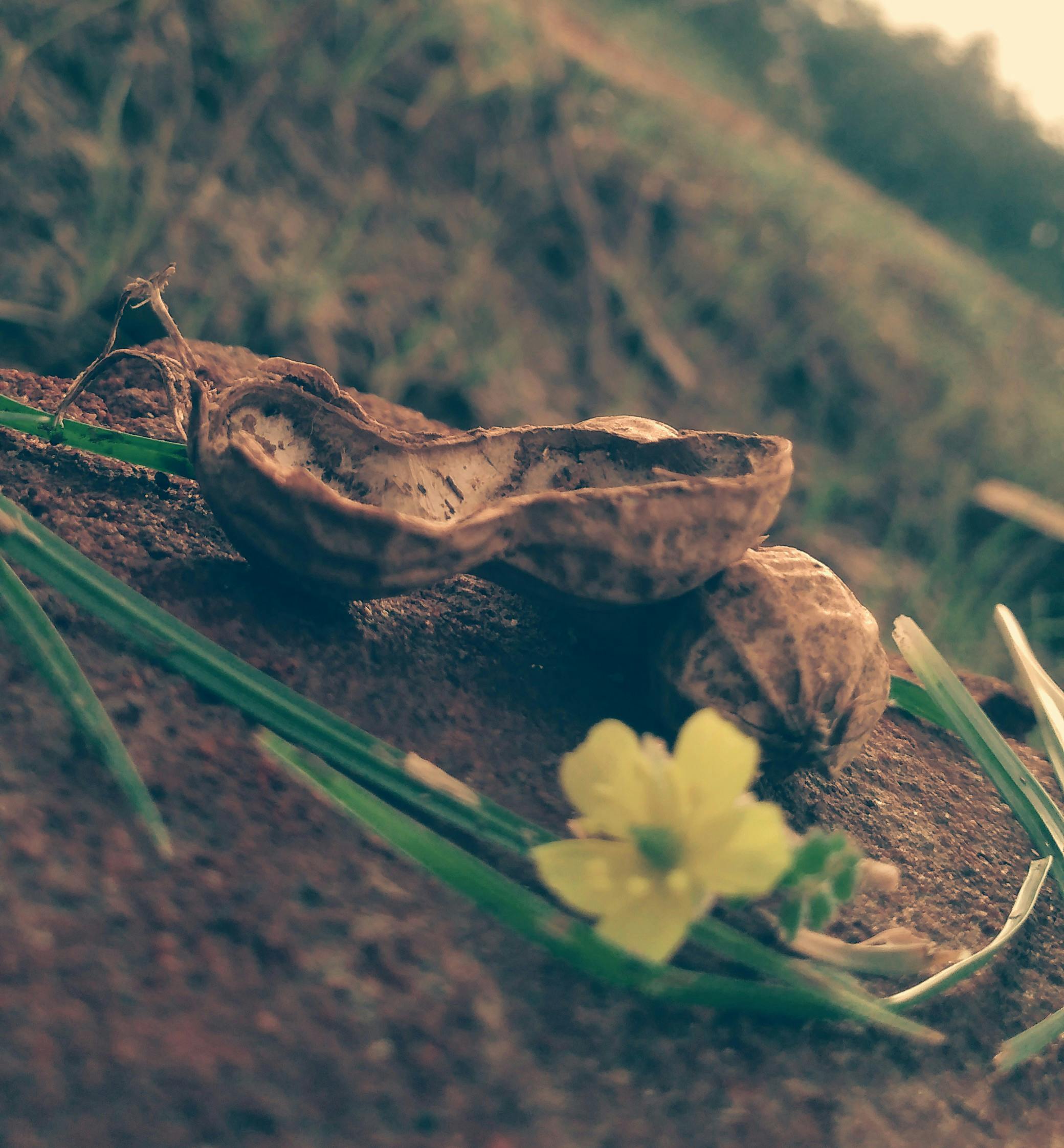 ChIn ChAN – Fotografie