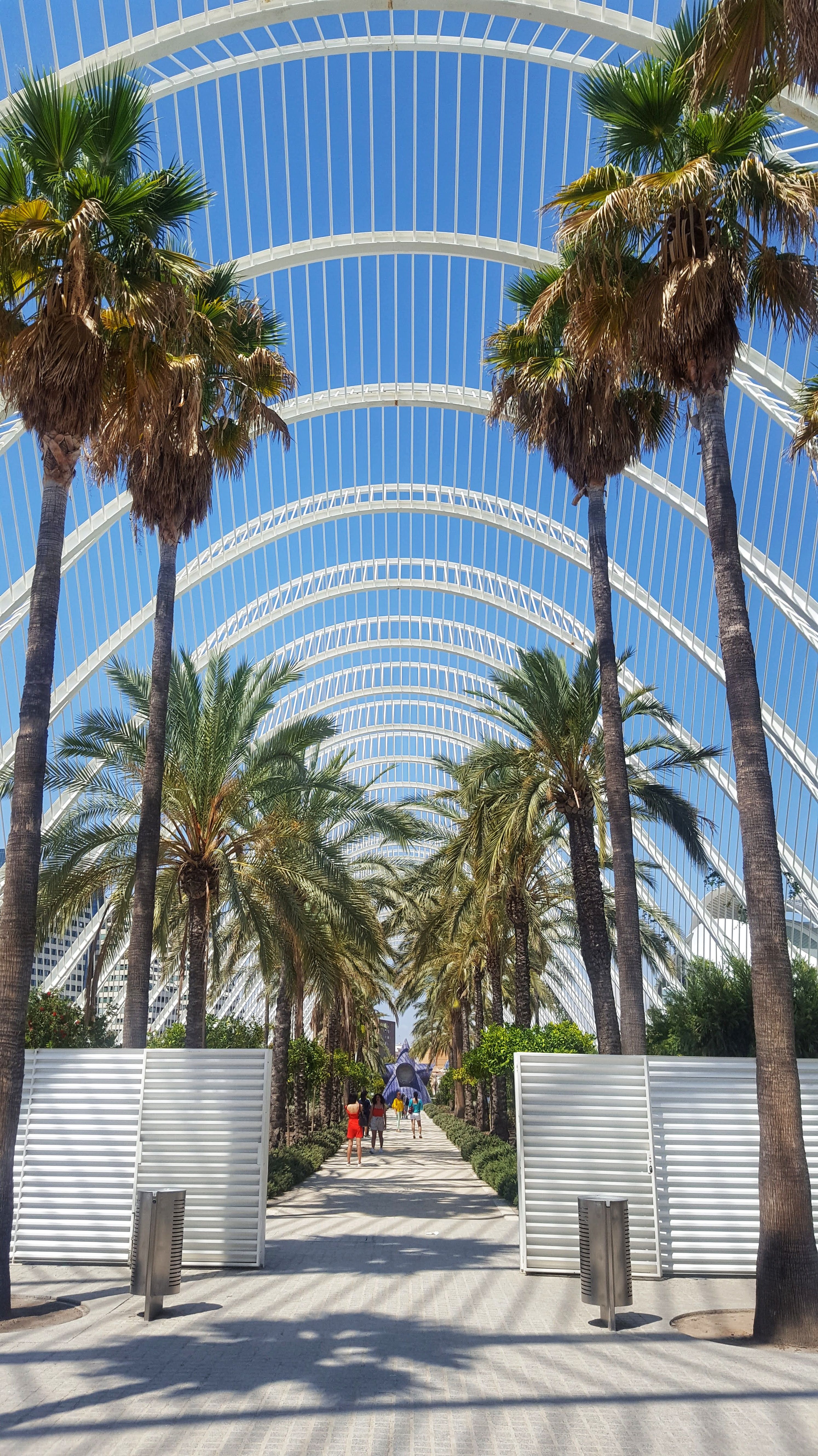 Foto de stock gratuita sobre arboreto, arquitectura, cielo azul, españa ...