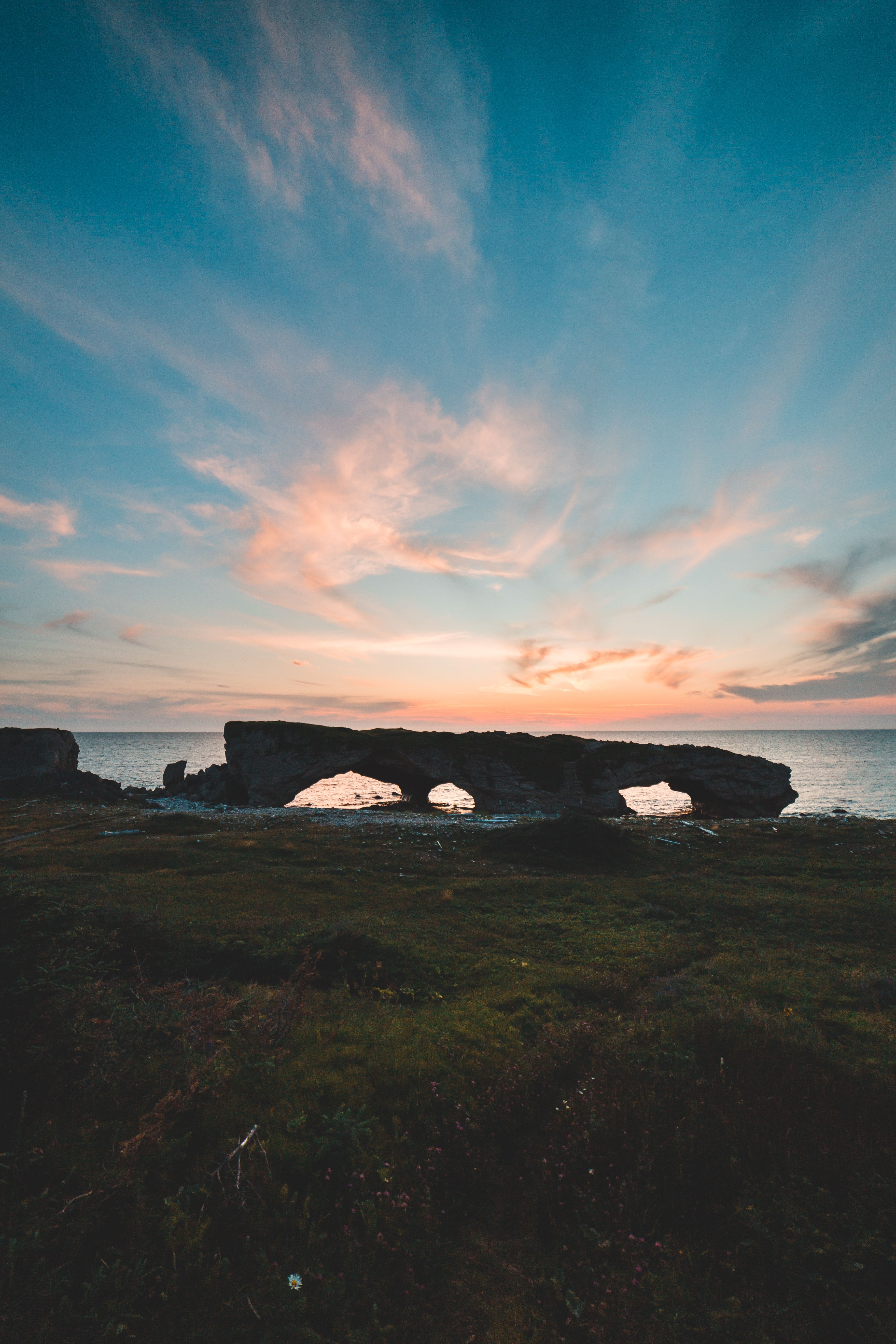 Green seashore in sunset light · Free Stock Photo