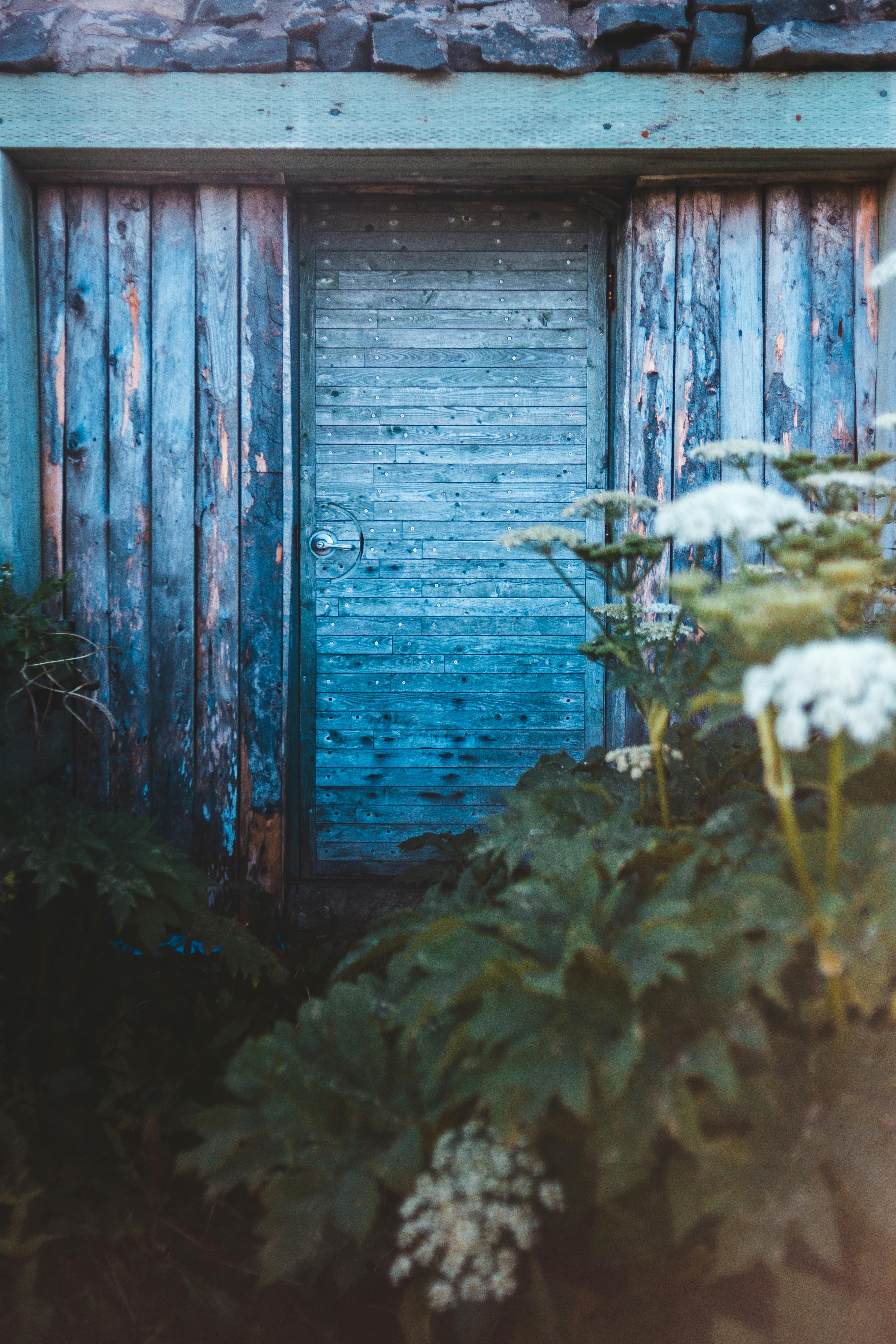 Exterior of rustic wooden house in countryside · Free Stock Photo