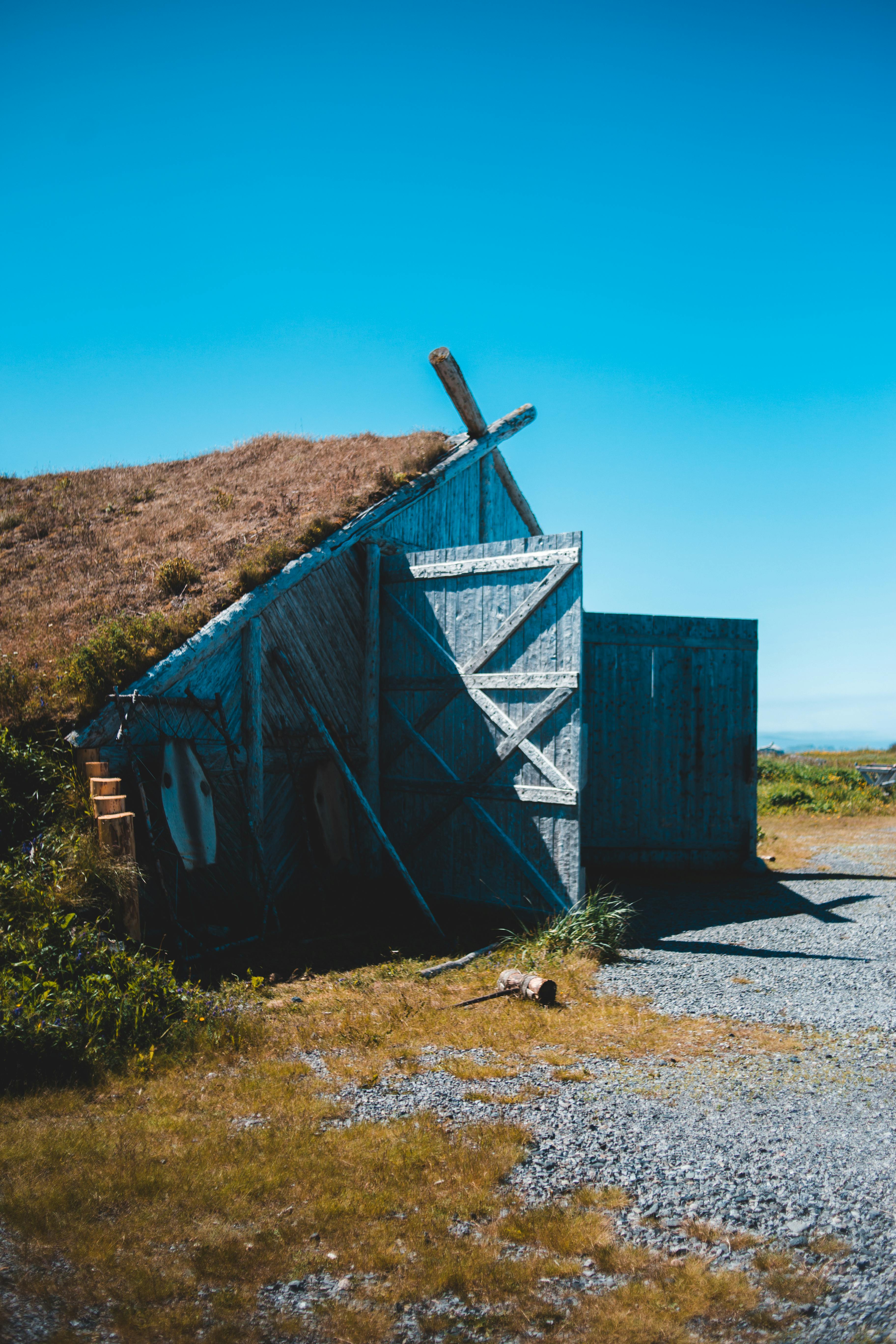 Rustic timber hut in countryside on sunny day · Free Stock Photo