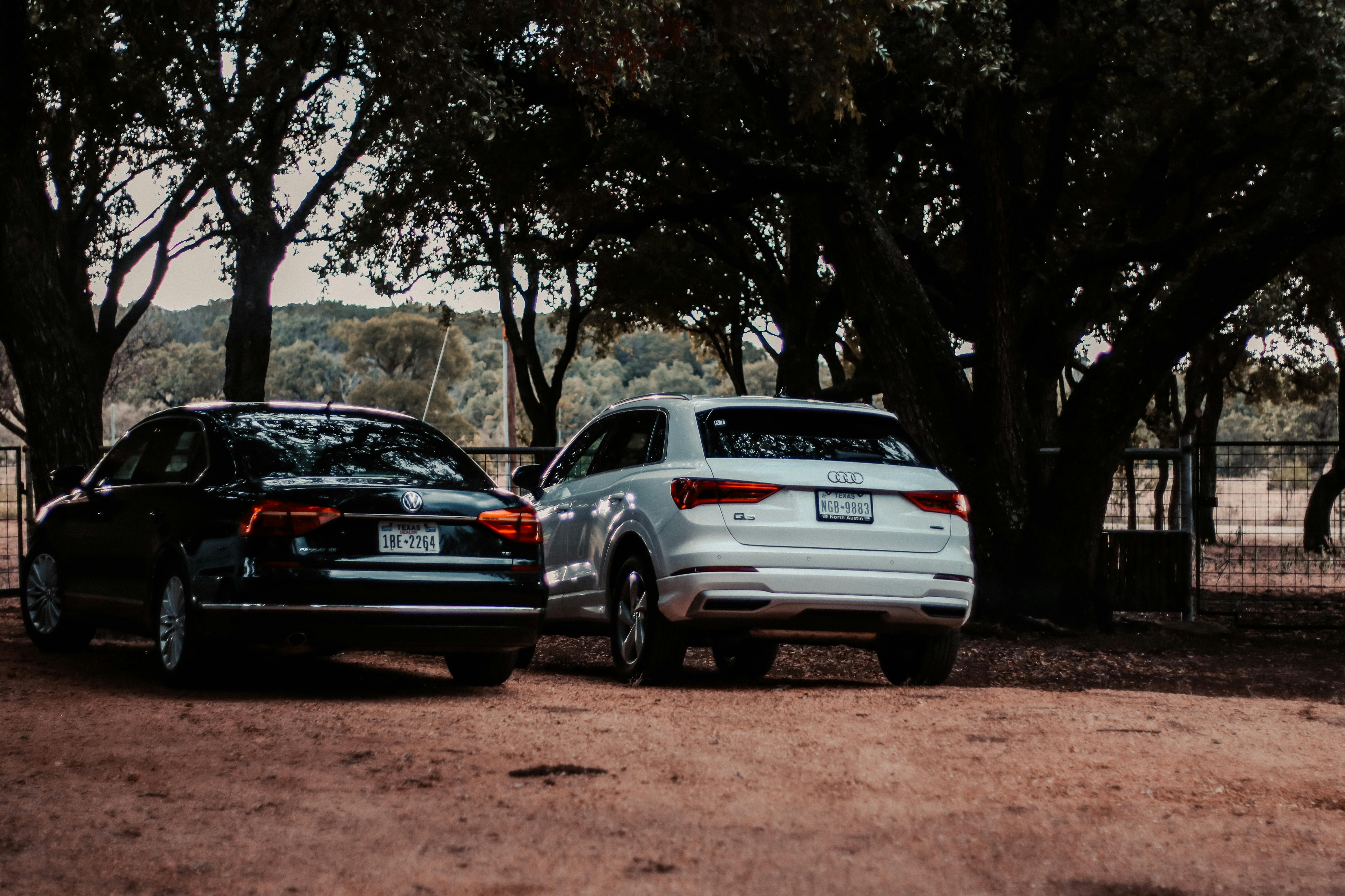 Modern cars parked under trees in park · Free Stock Photo