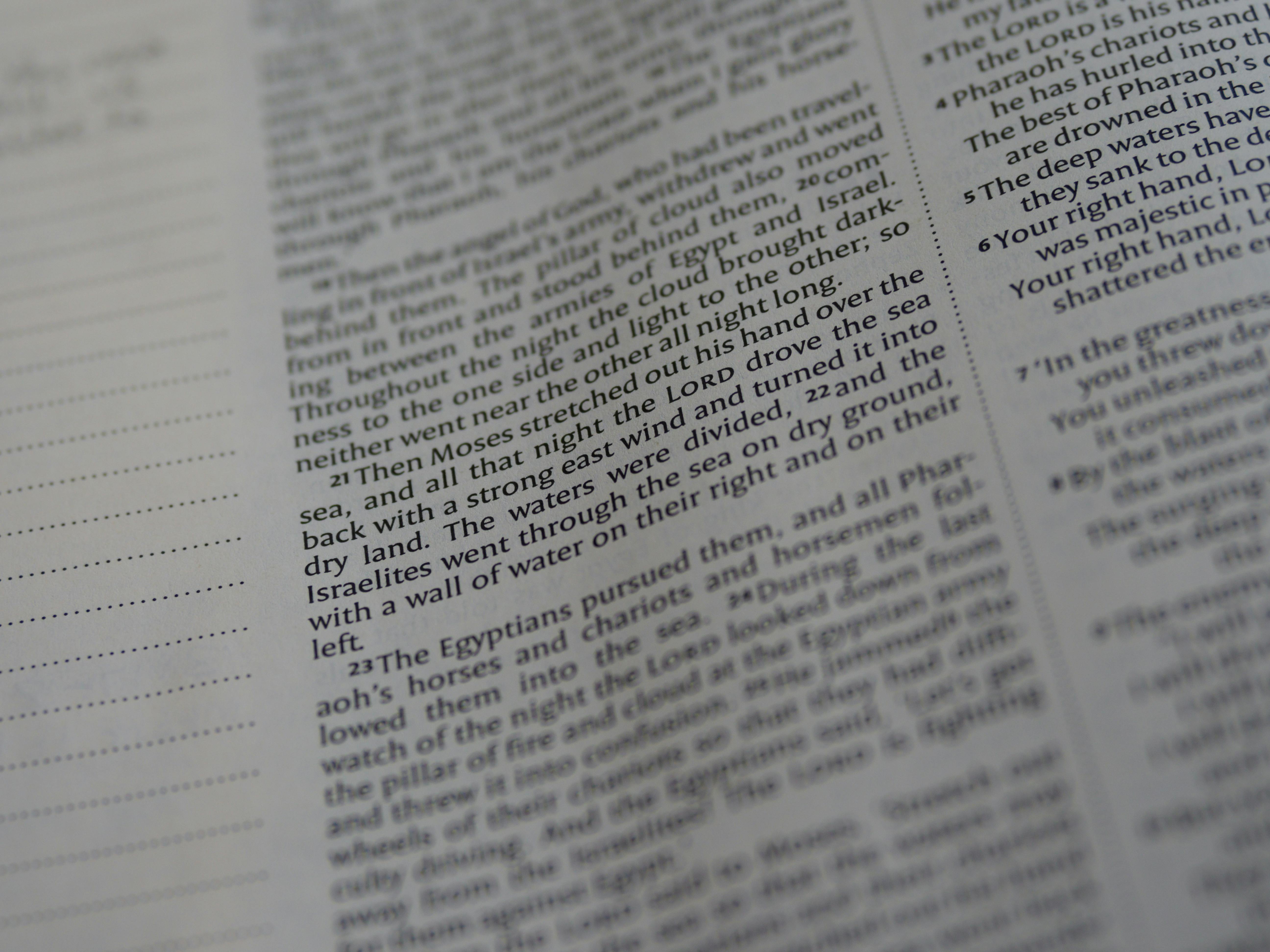 Close-Up Shot of Bible Verse · Free Stock Photo