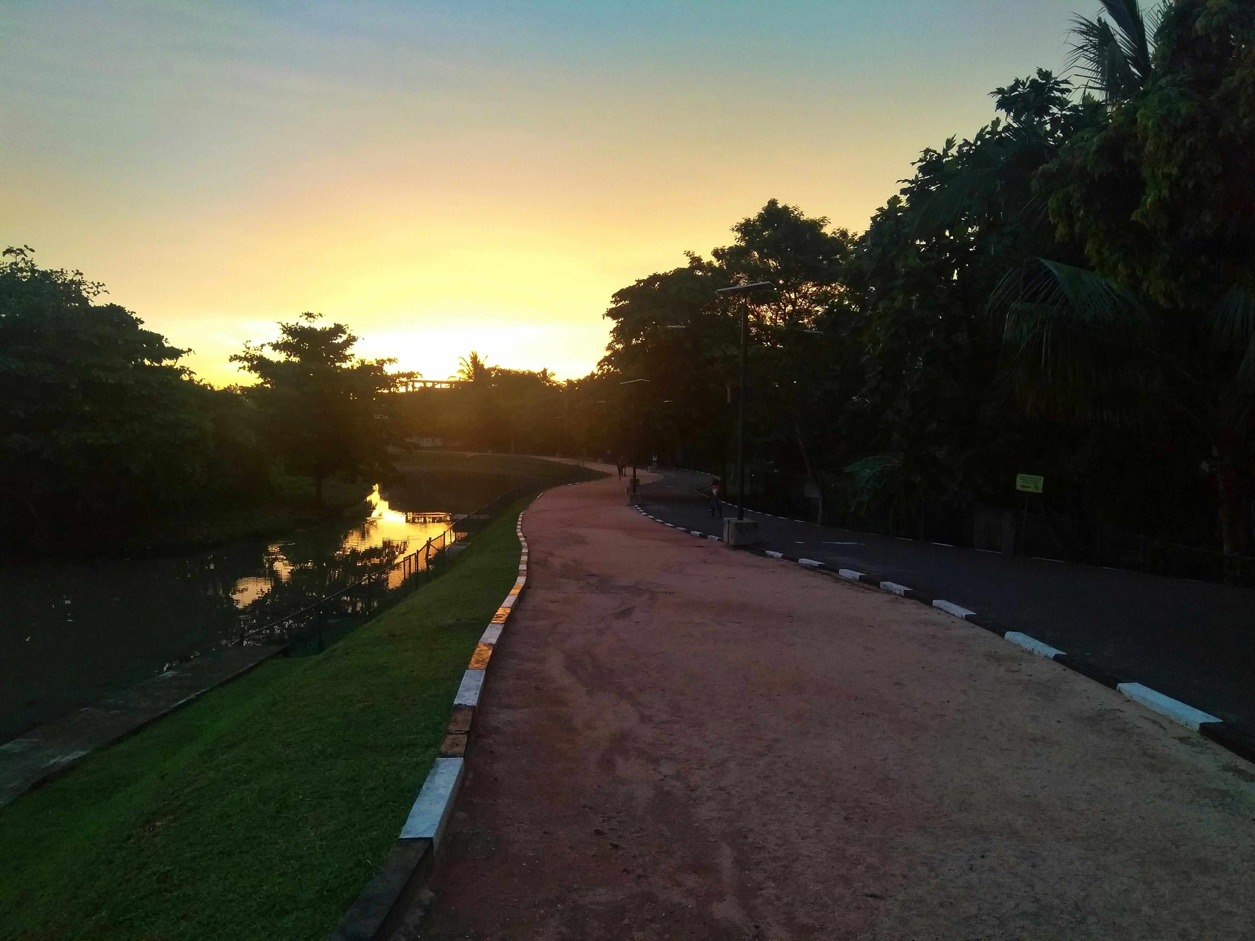 Janith Chanaka - 사진