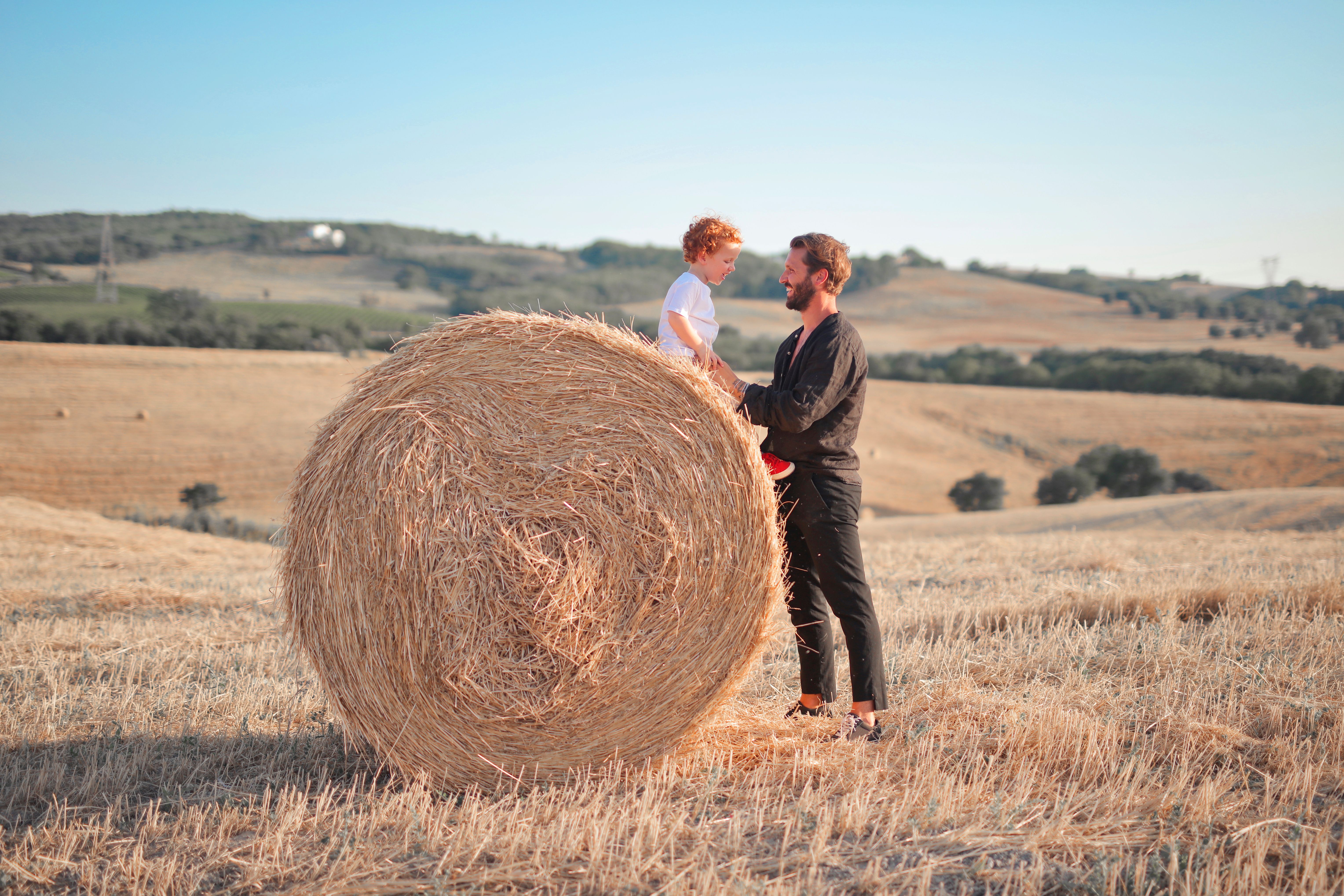 Curly Haired Boy Sitting on a Round Bale · Free Stock Photo