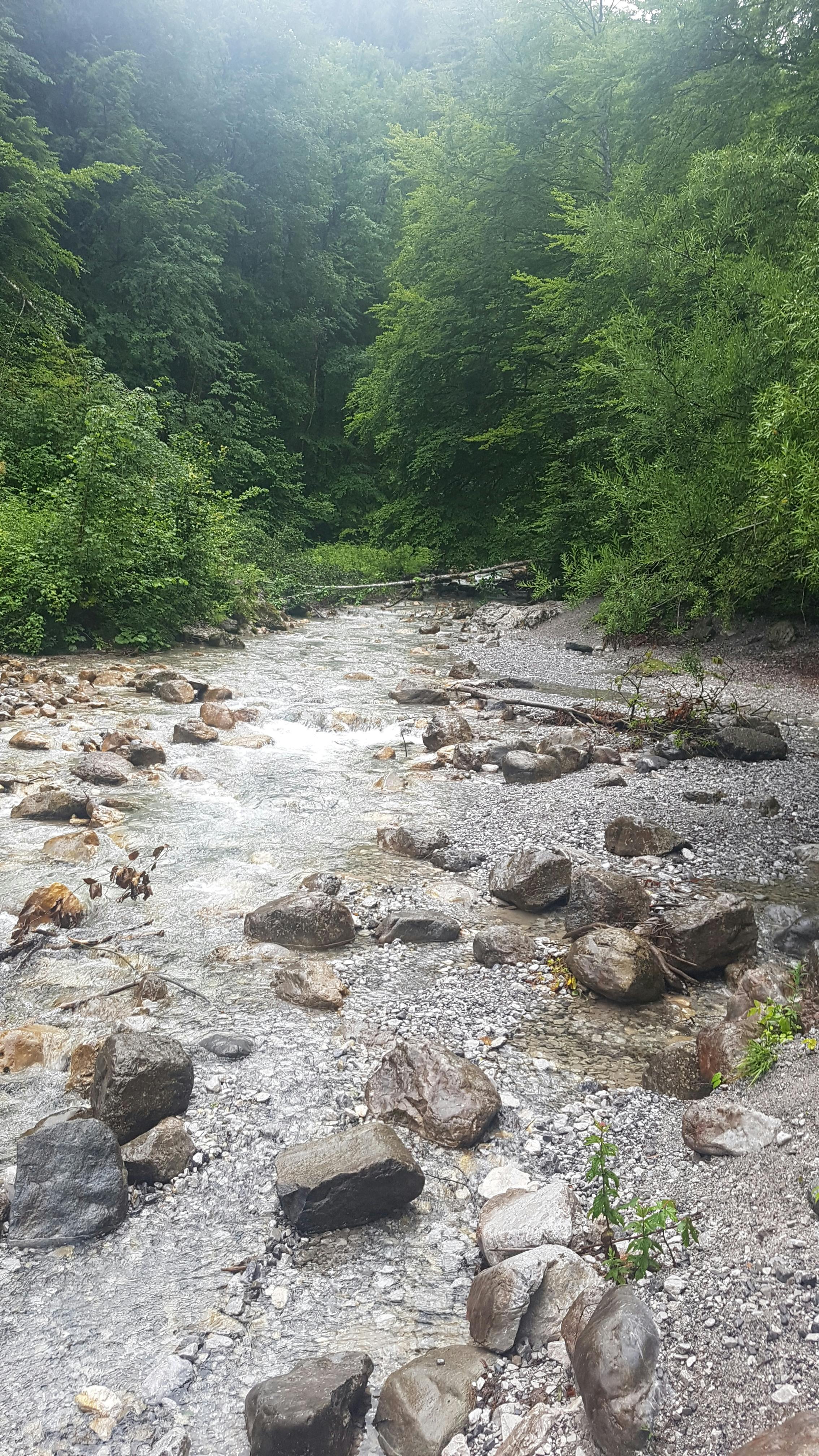 Andreas Hartmann - 사진