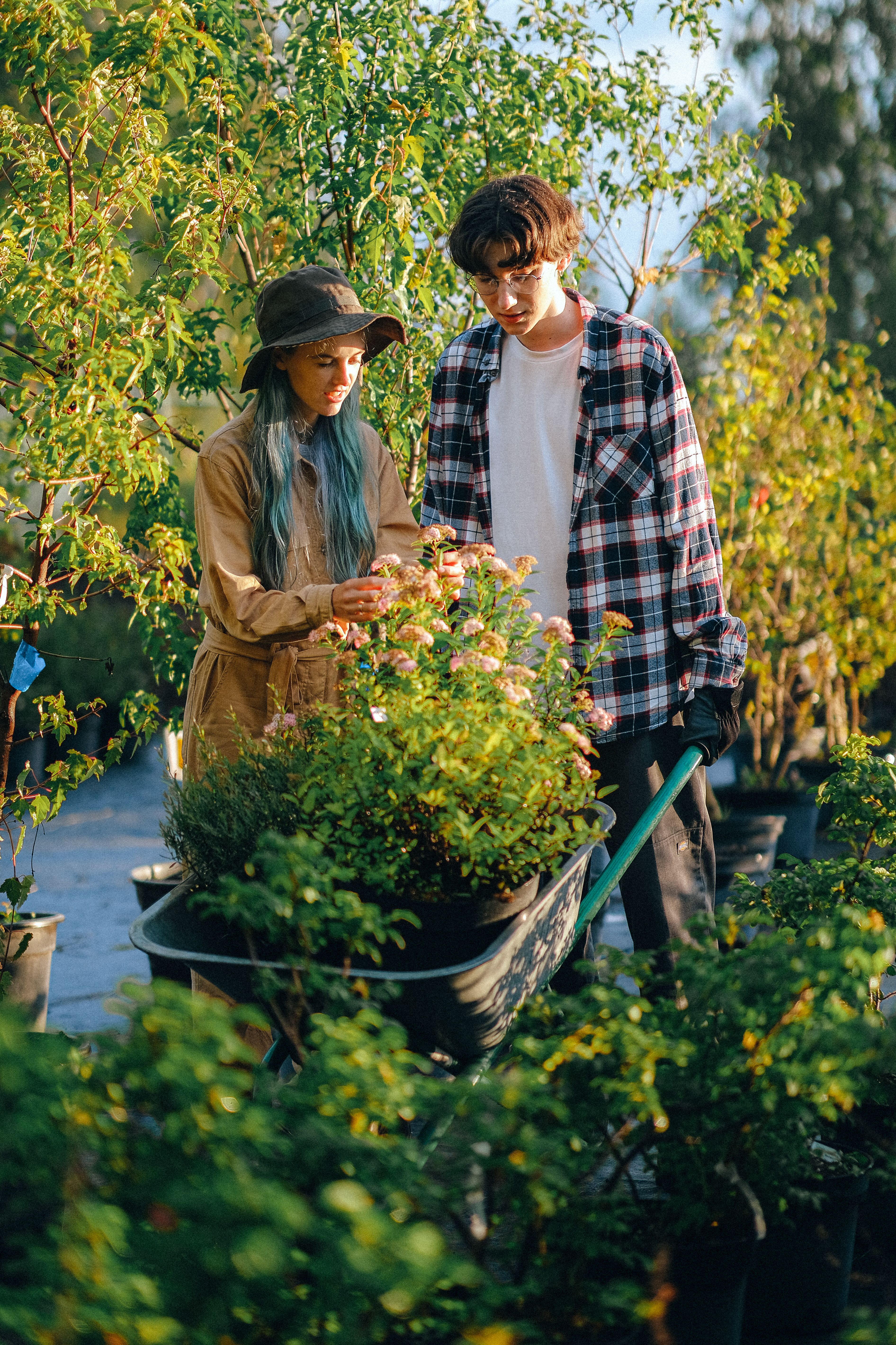 People Planting Together · Free Stock Photo