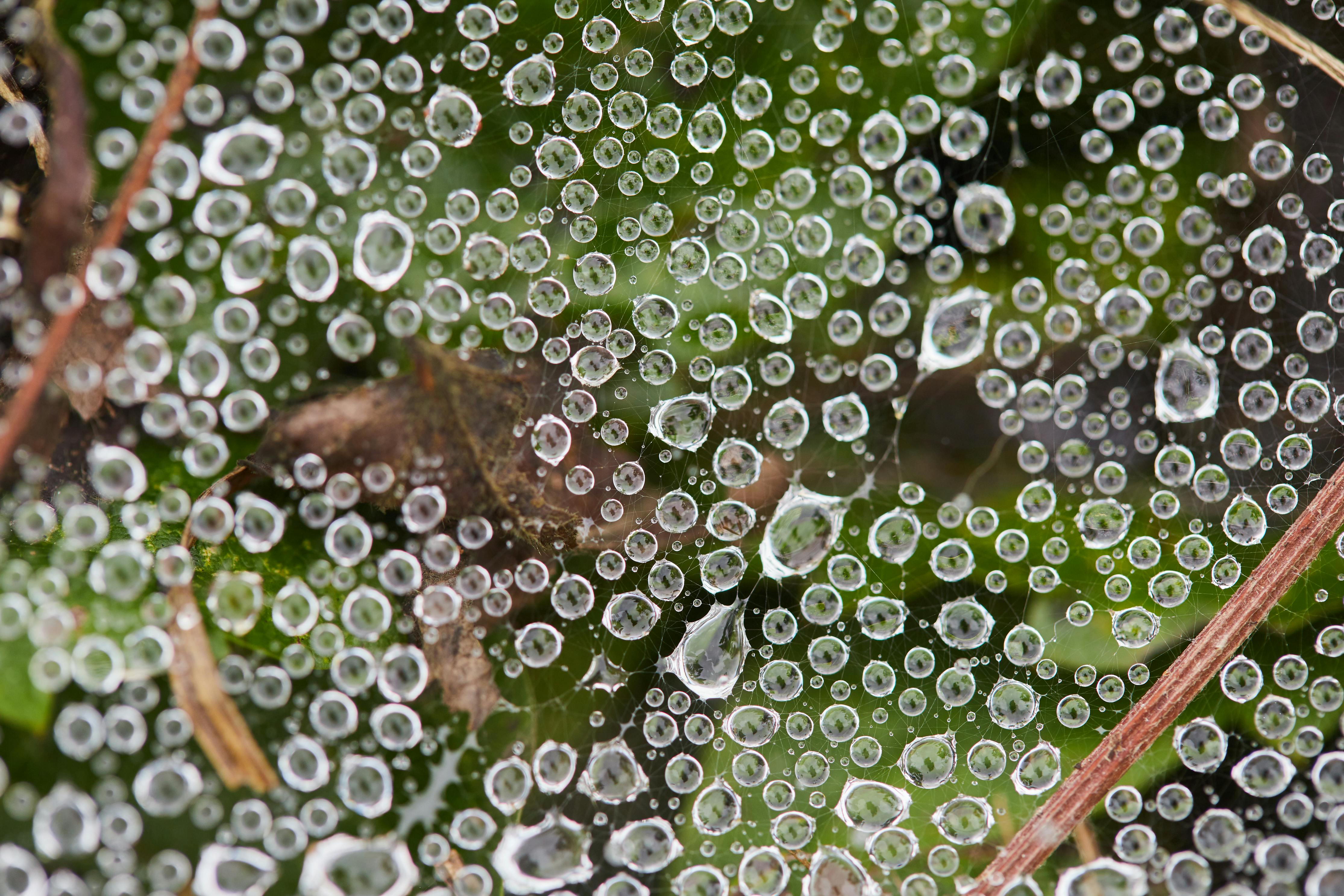 Web Developer Wallpaper Photos, Download The BEST Free Web Developer ...