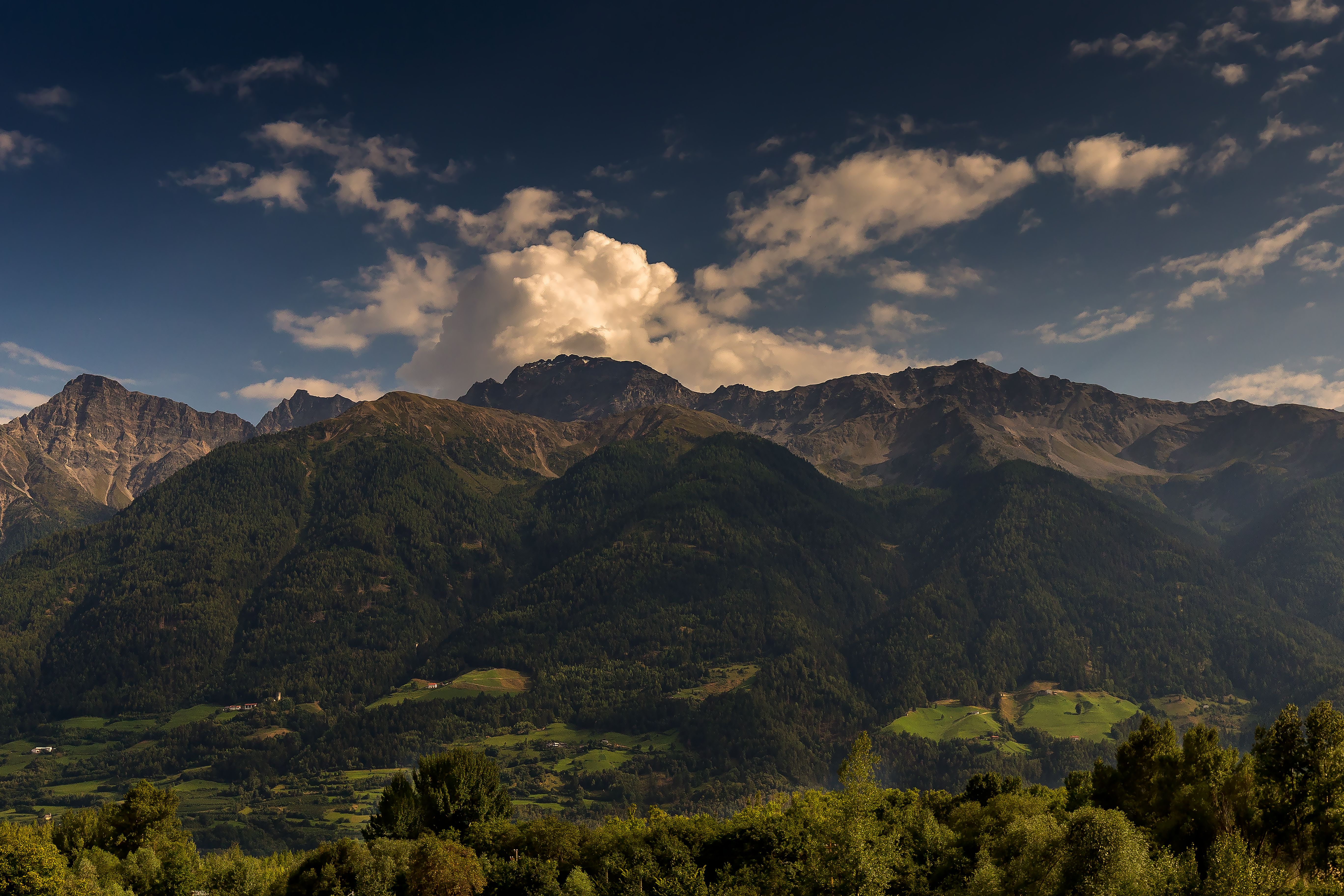 Green Trees Under Cloudy Sky · Free Stock Photo