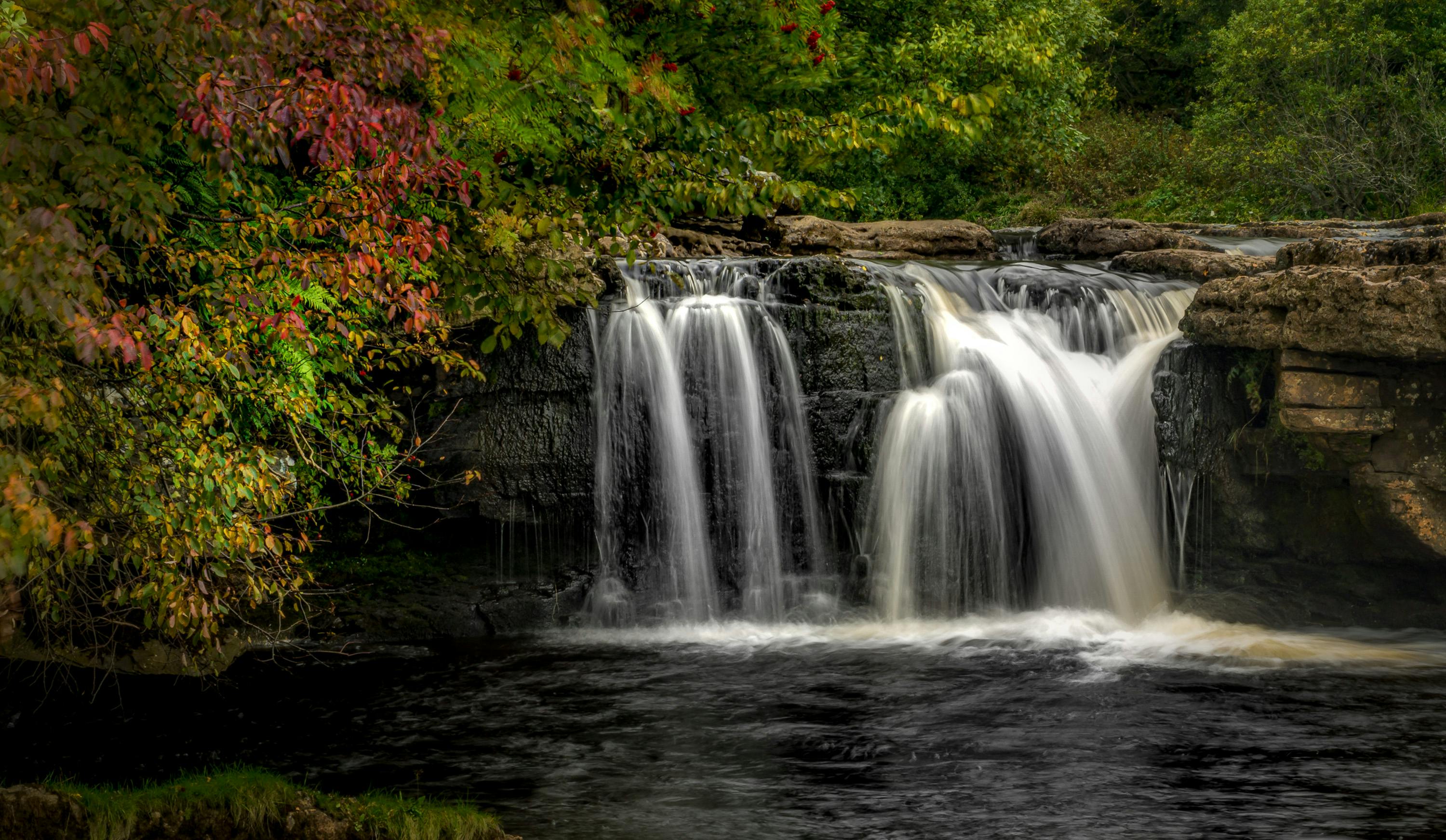 Two Waterfalls in Jungle · Free Stock Photo