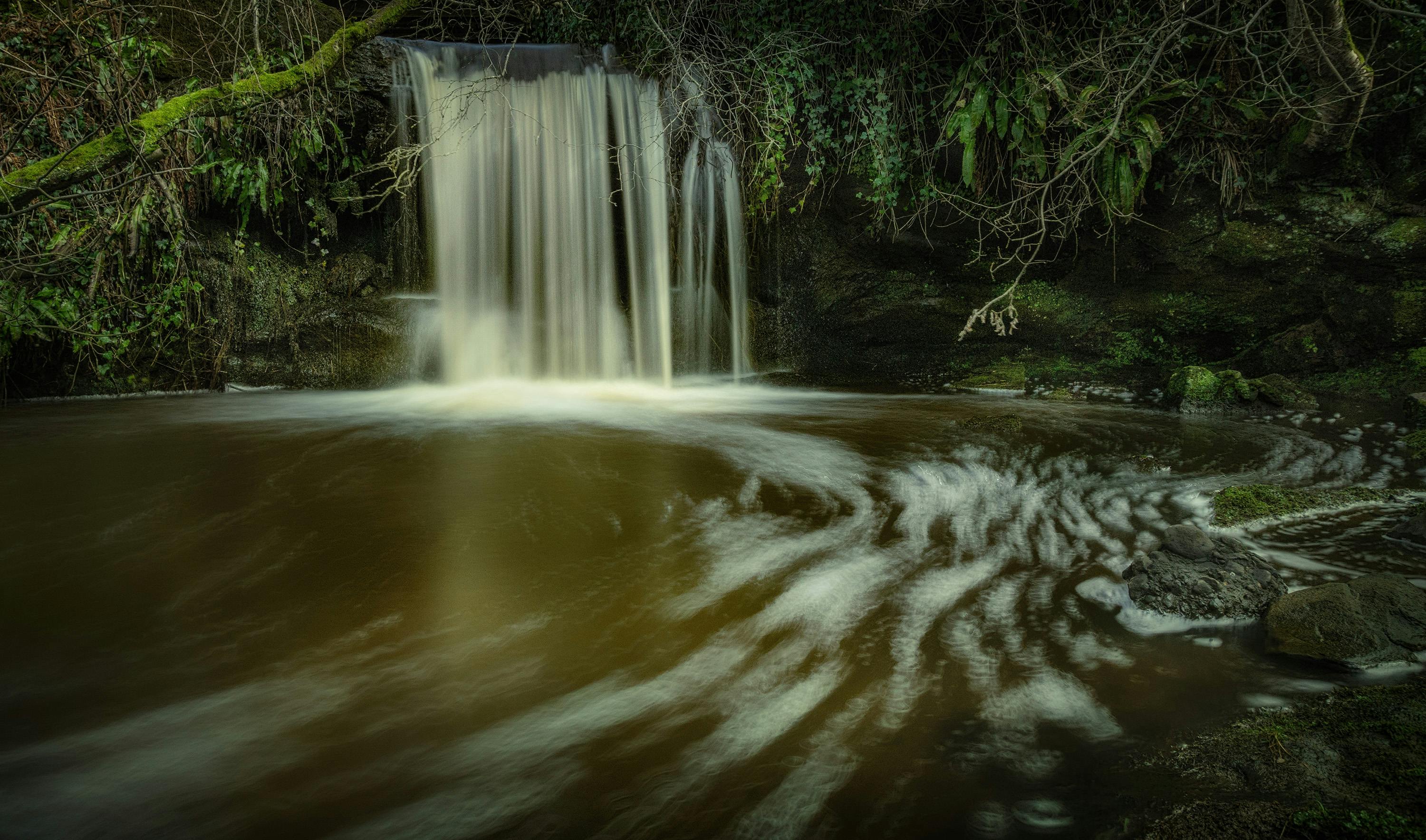 Waterfall Among Trees · Free Stock Photo