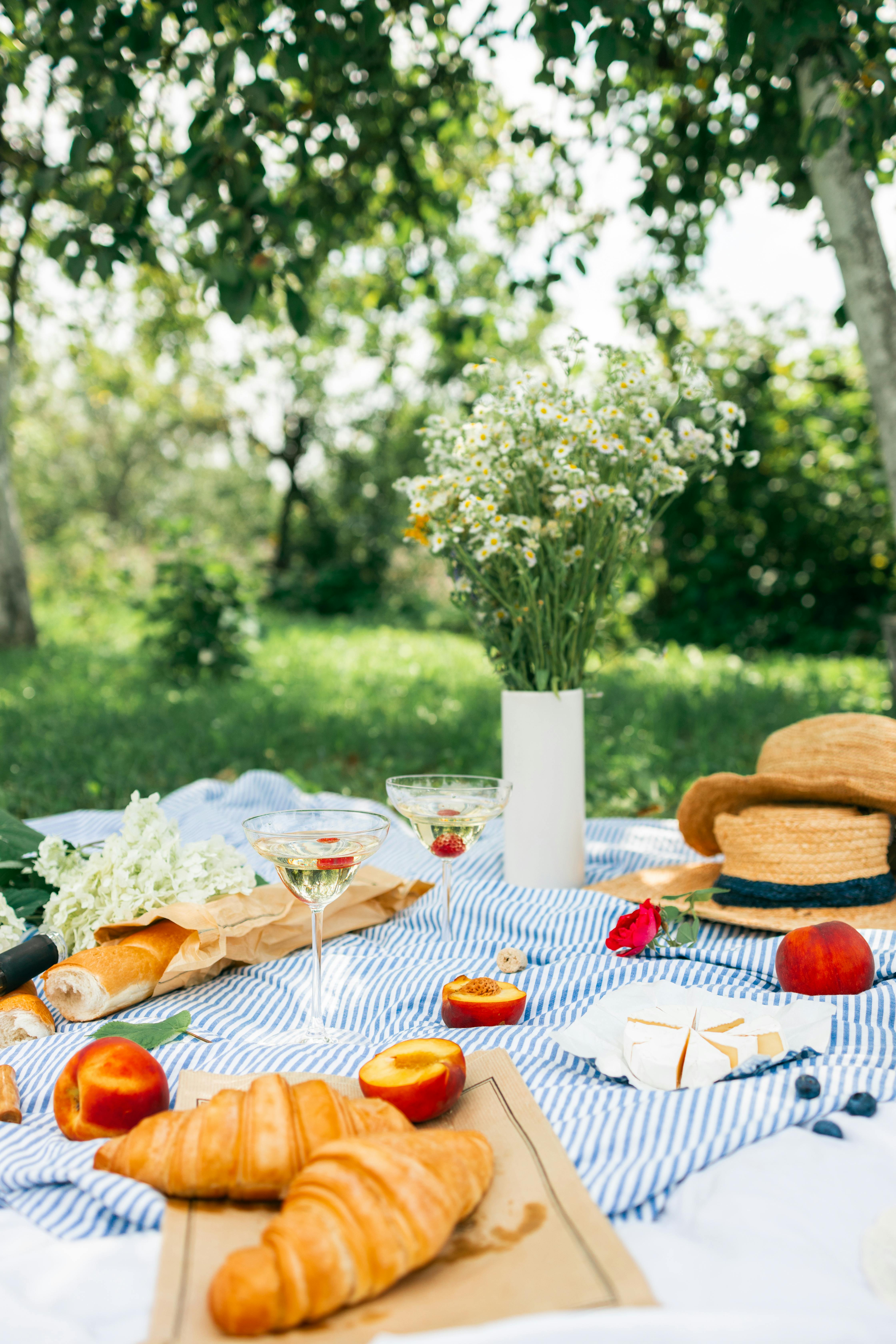 Picnic · Free Stock Photo