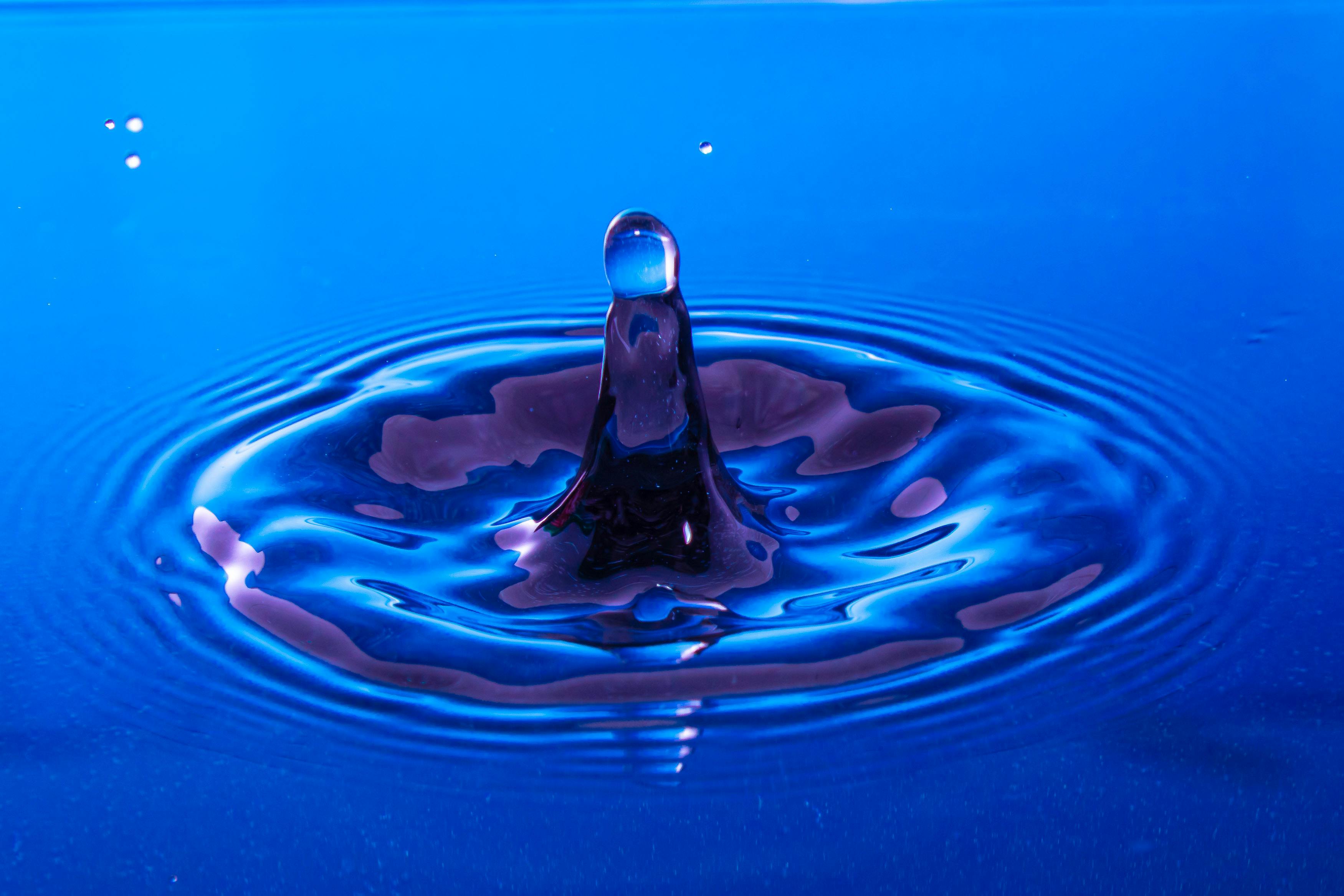 Jason Walters – Fotografia