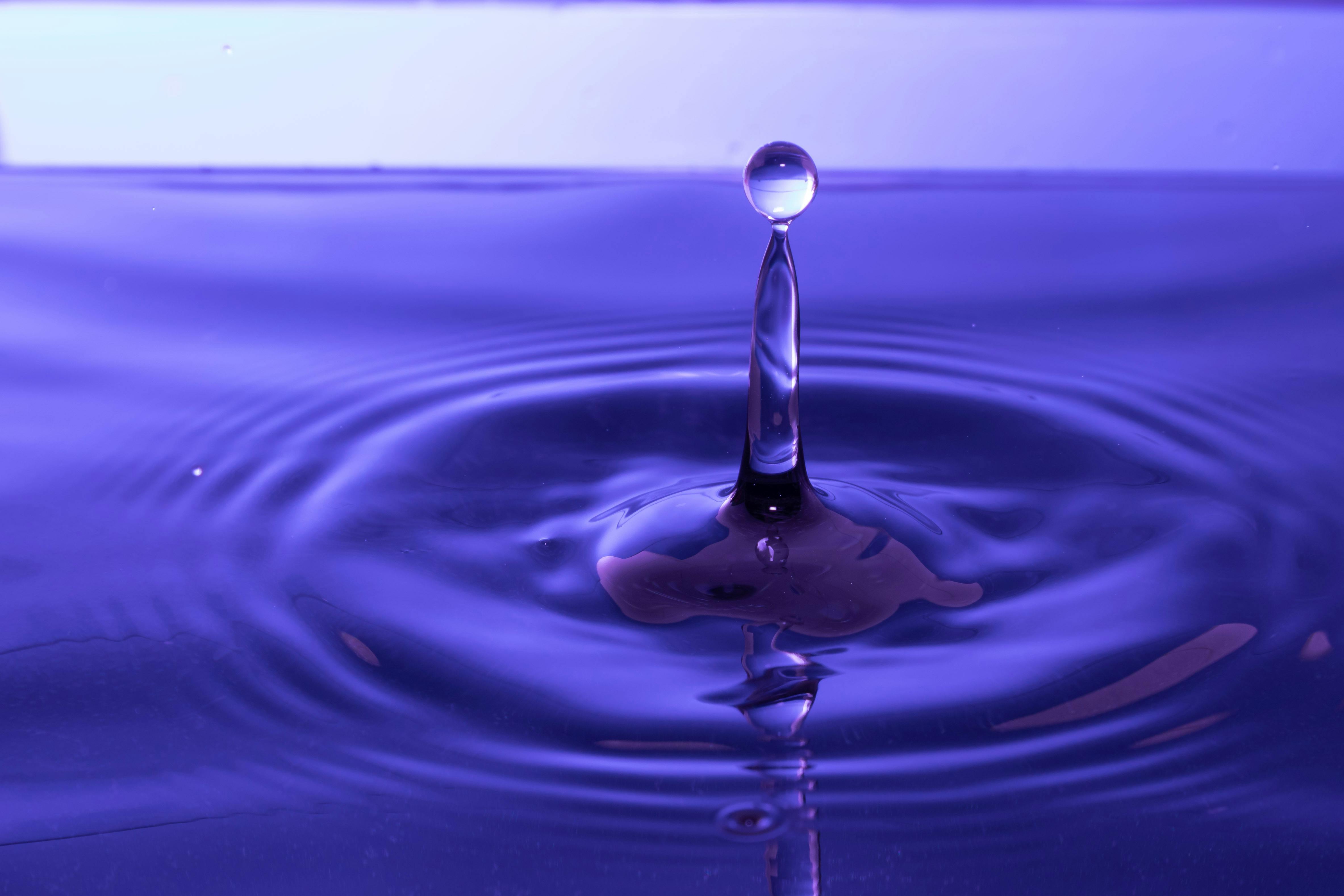 Jason Walters - Fotografía