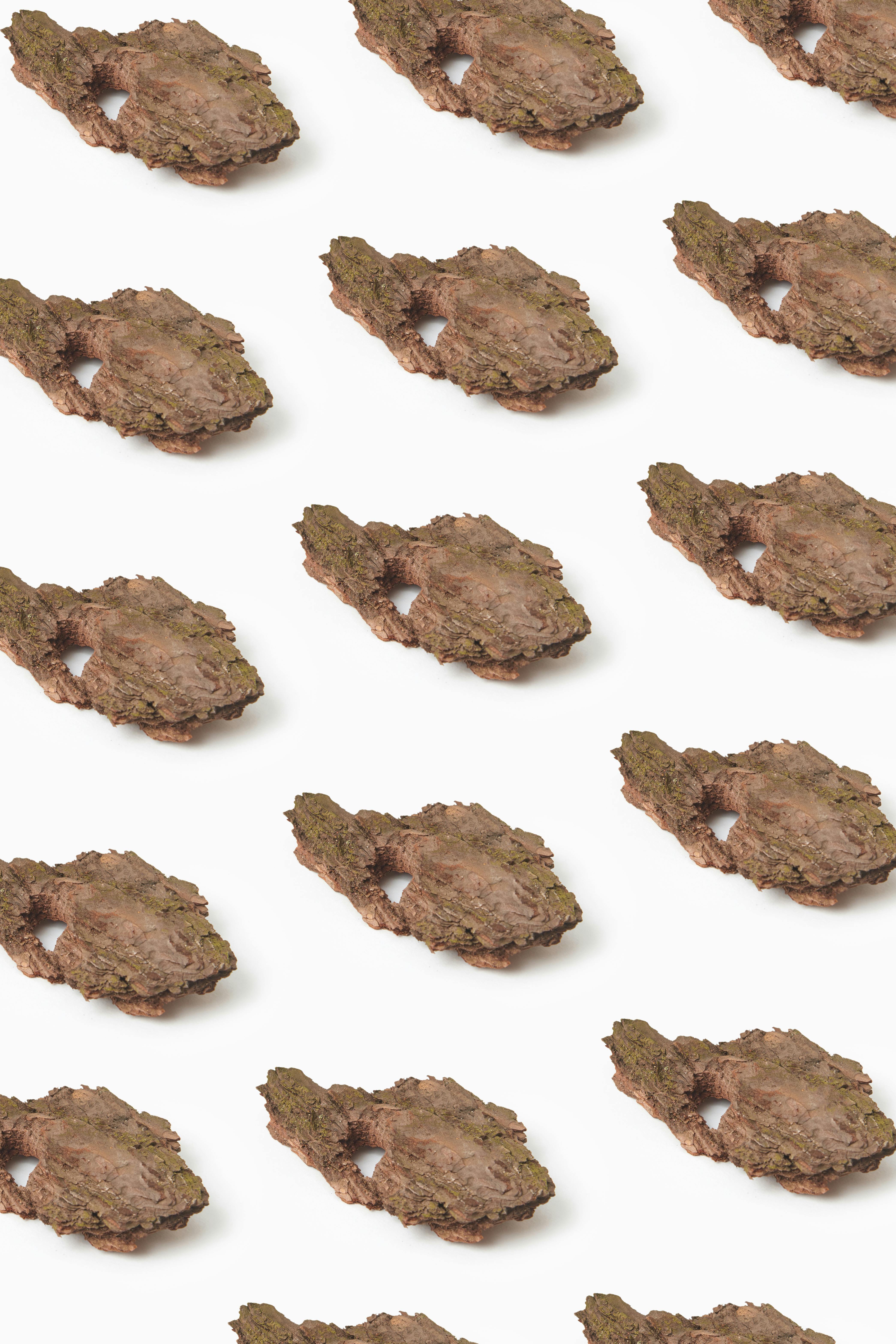 Tree Repeating Photos, Download The BEST Free Tree Repeating Stock ...