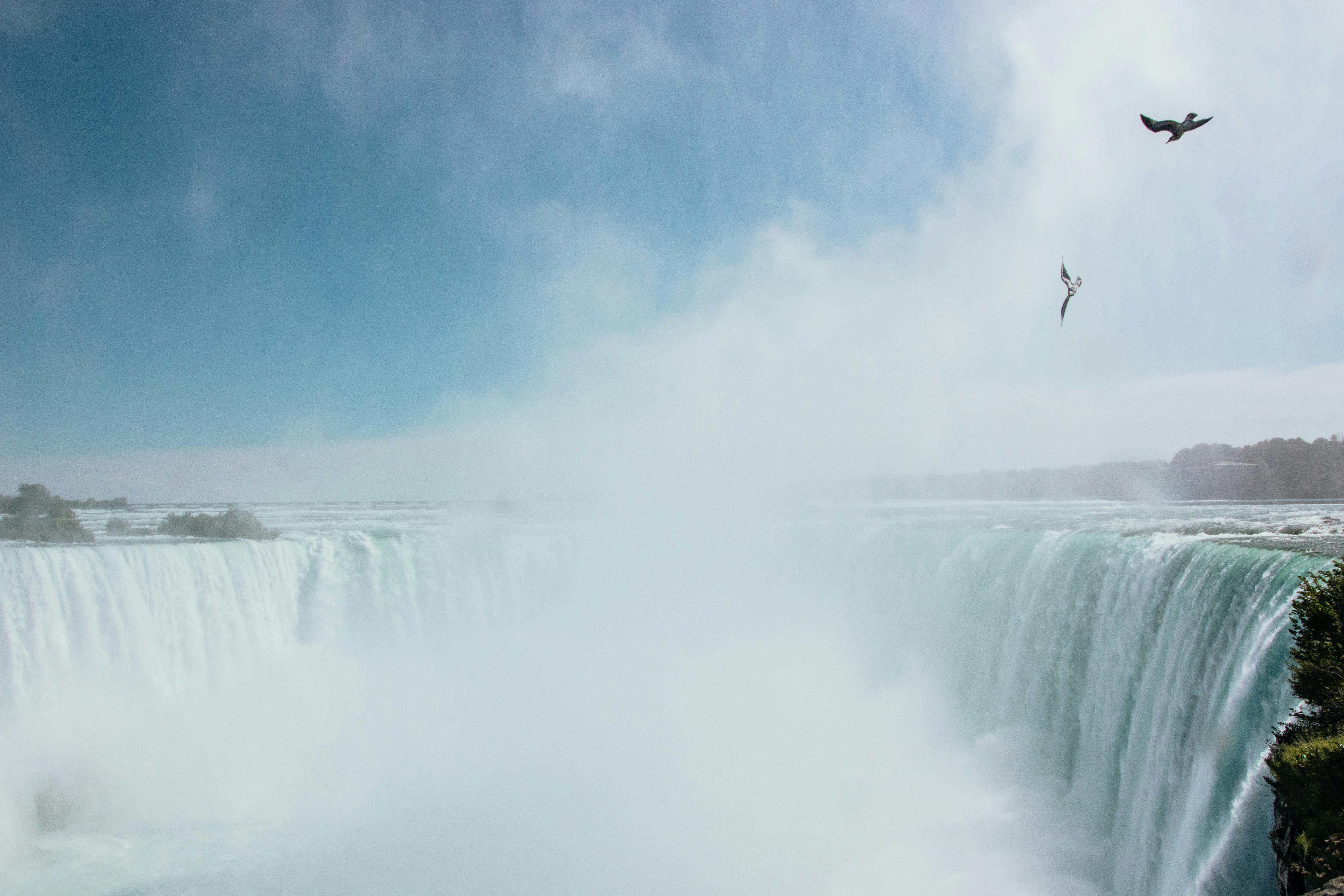 Birds Flying Over a Huge Waterfall · Free Stock Photo