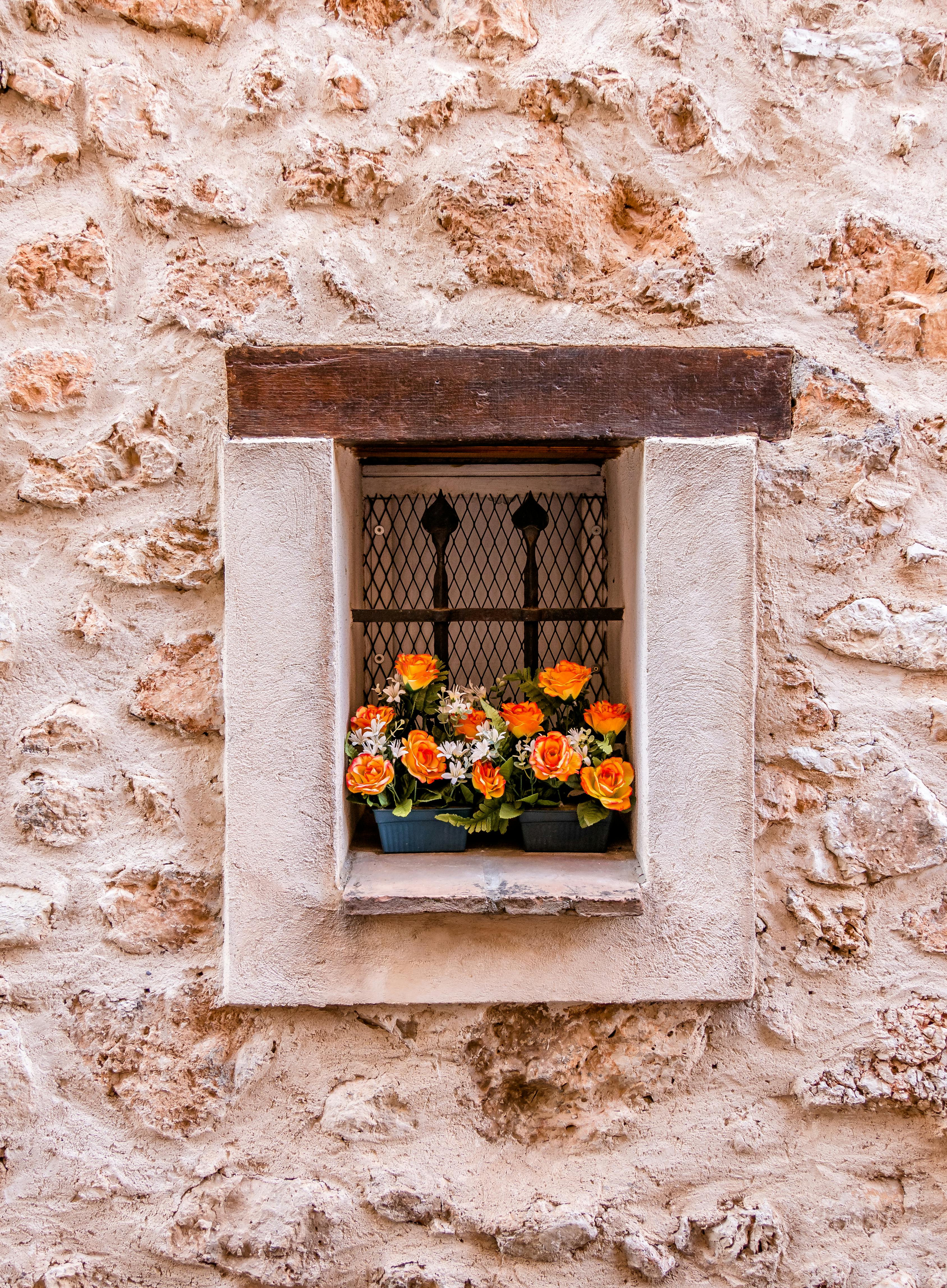 Orange Flowers on the Window · Free Stock Photo