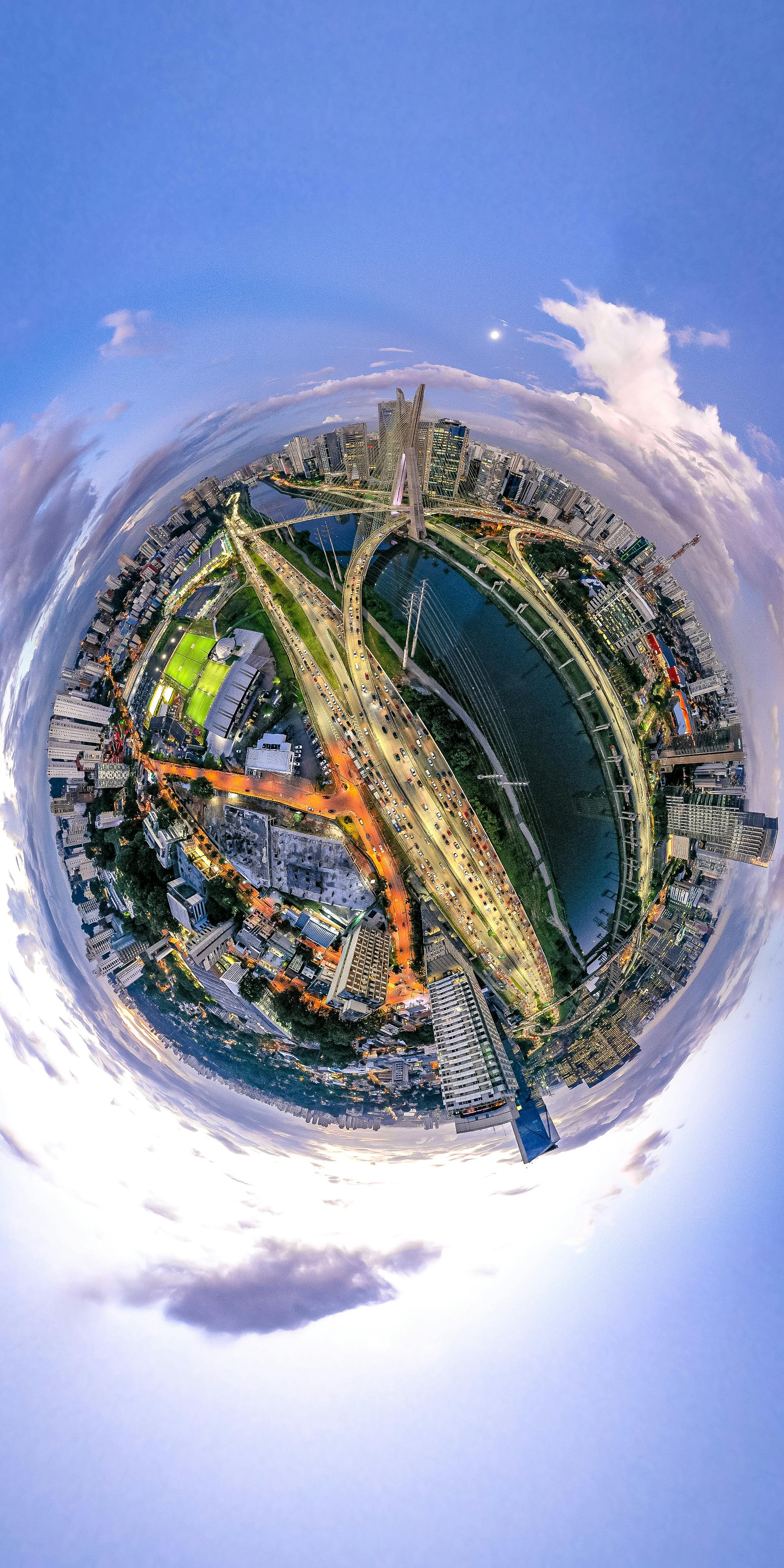 Piraputanga Fish Cerrado Brazil Photos, Download The BEST Free ...