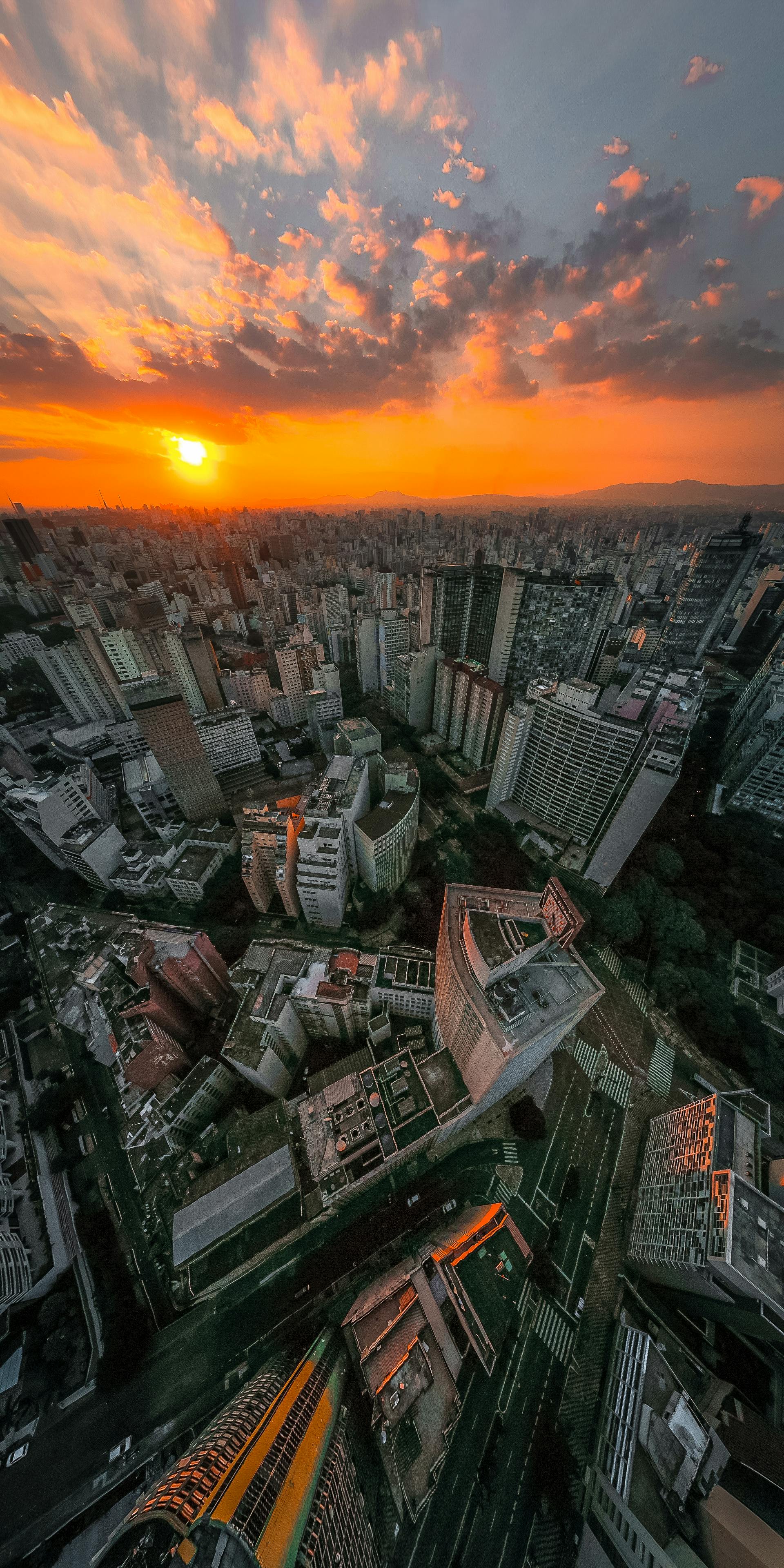 Tall Fish Photos, Download The BEST Free Tall Fish Stock Photos & HD Images