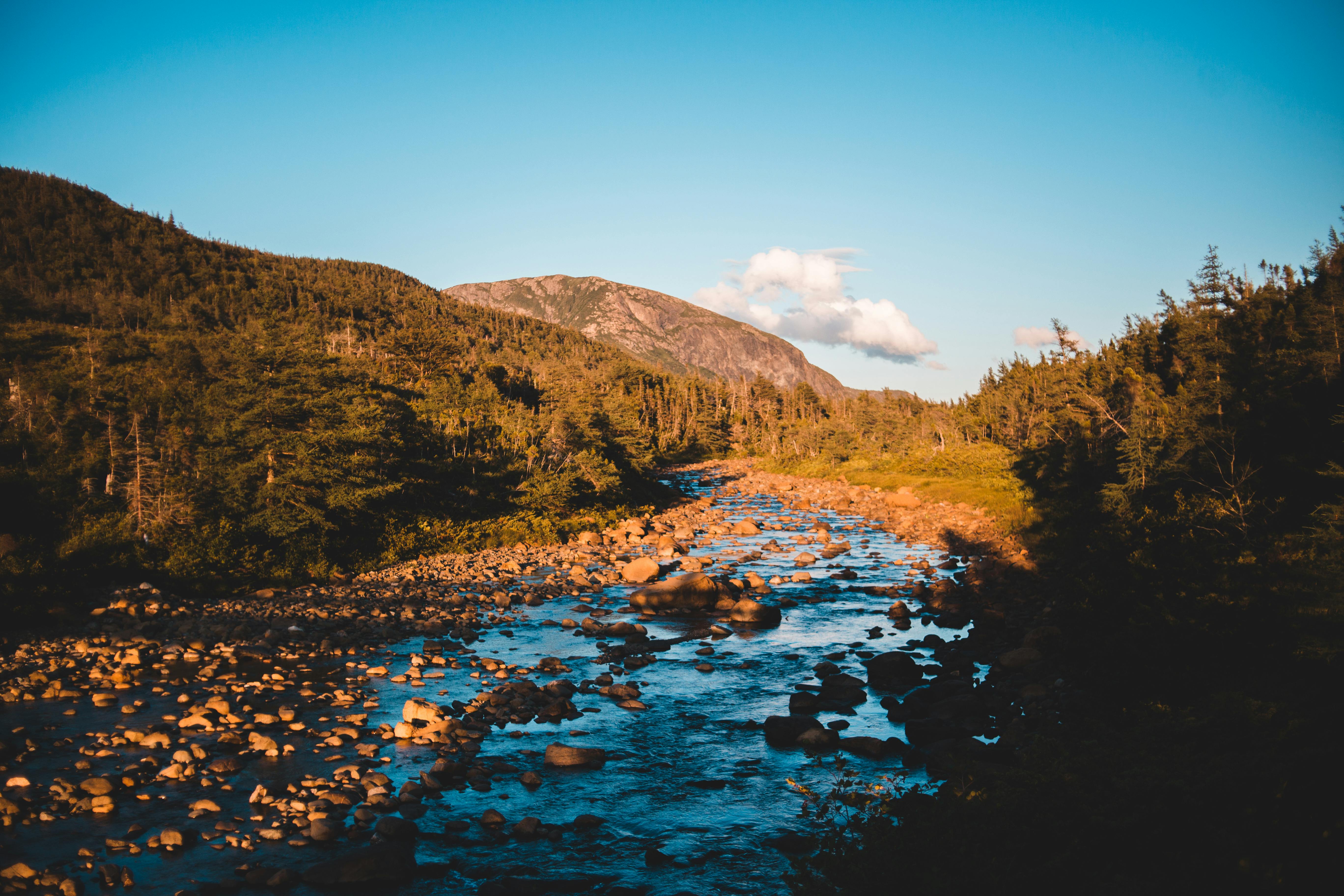Calm stream flowing through hills · Free Stock Photo