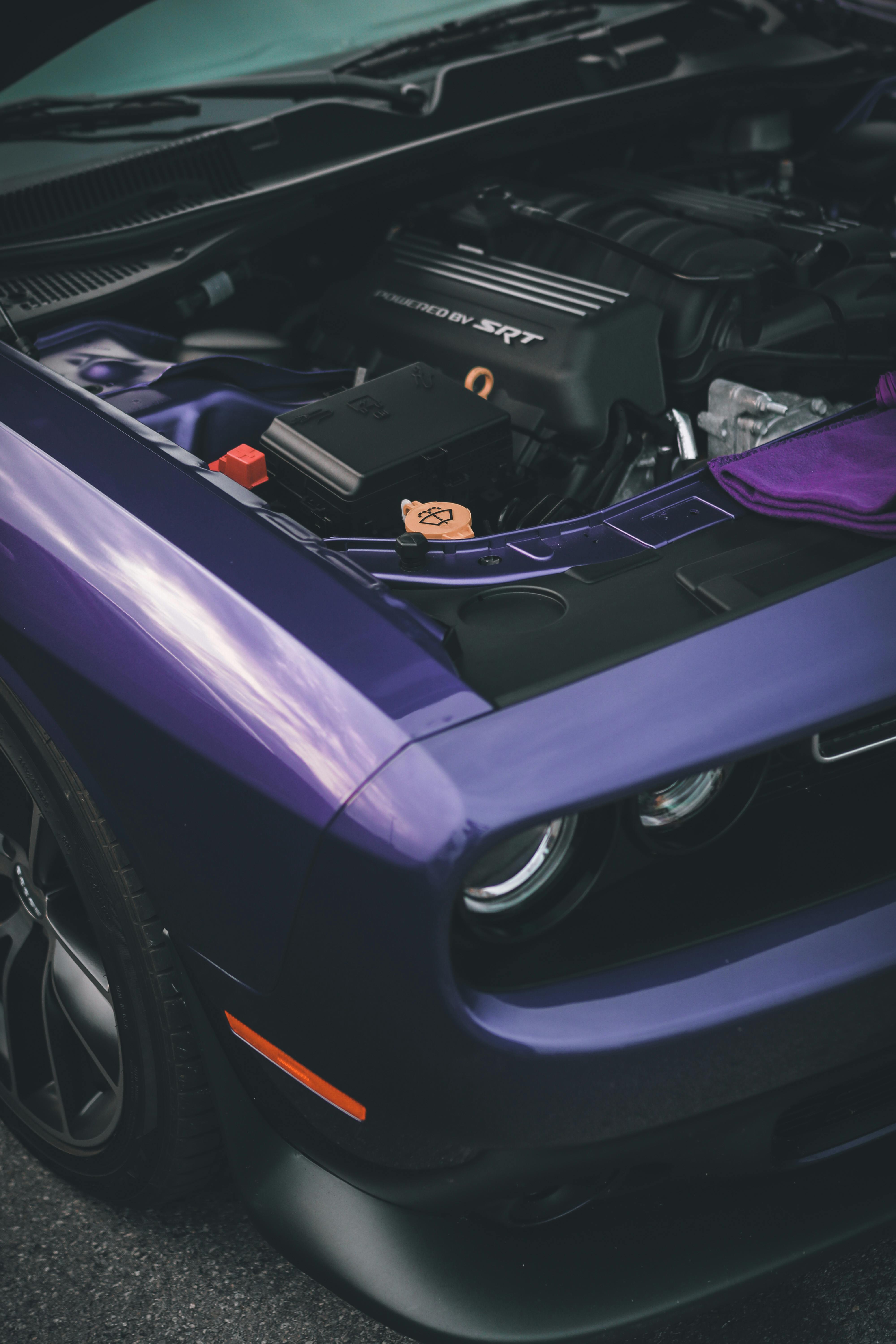 Purple Finish Photos, Download The BEST Free Purple Finish Stock Photos ...