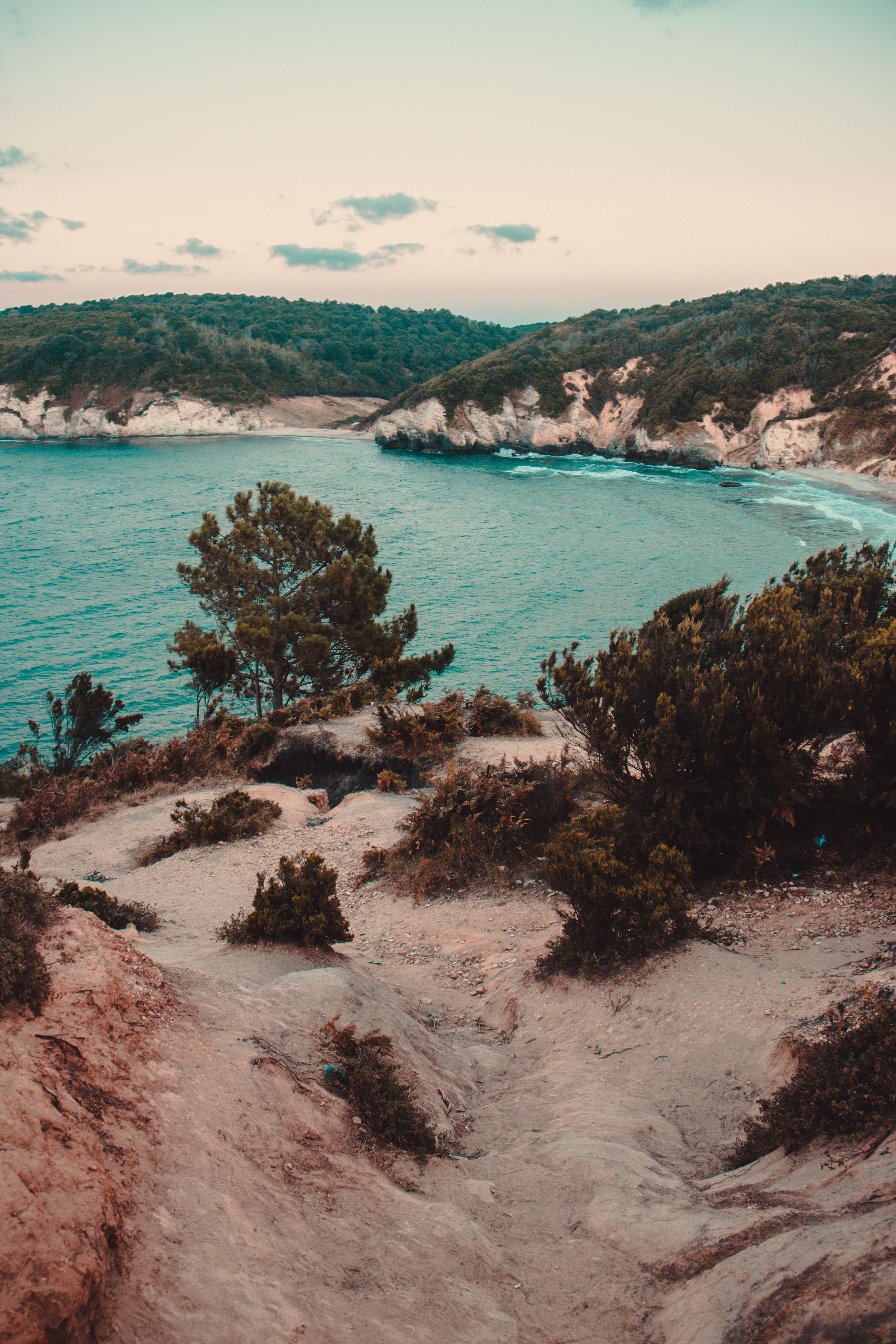 Tress Sea Photos, Download The BEST Free Tress Sea Stock Photos & HD Images