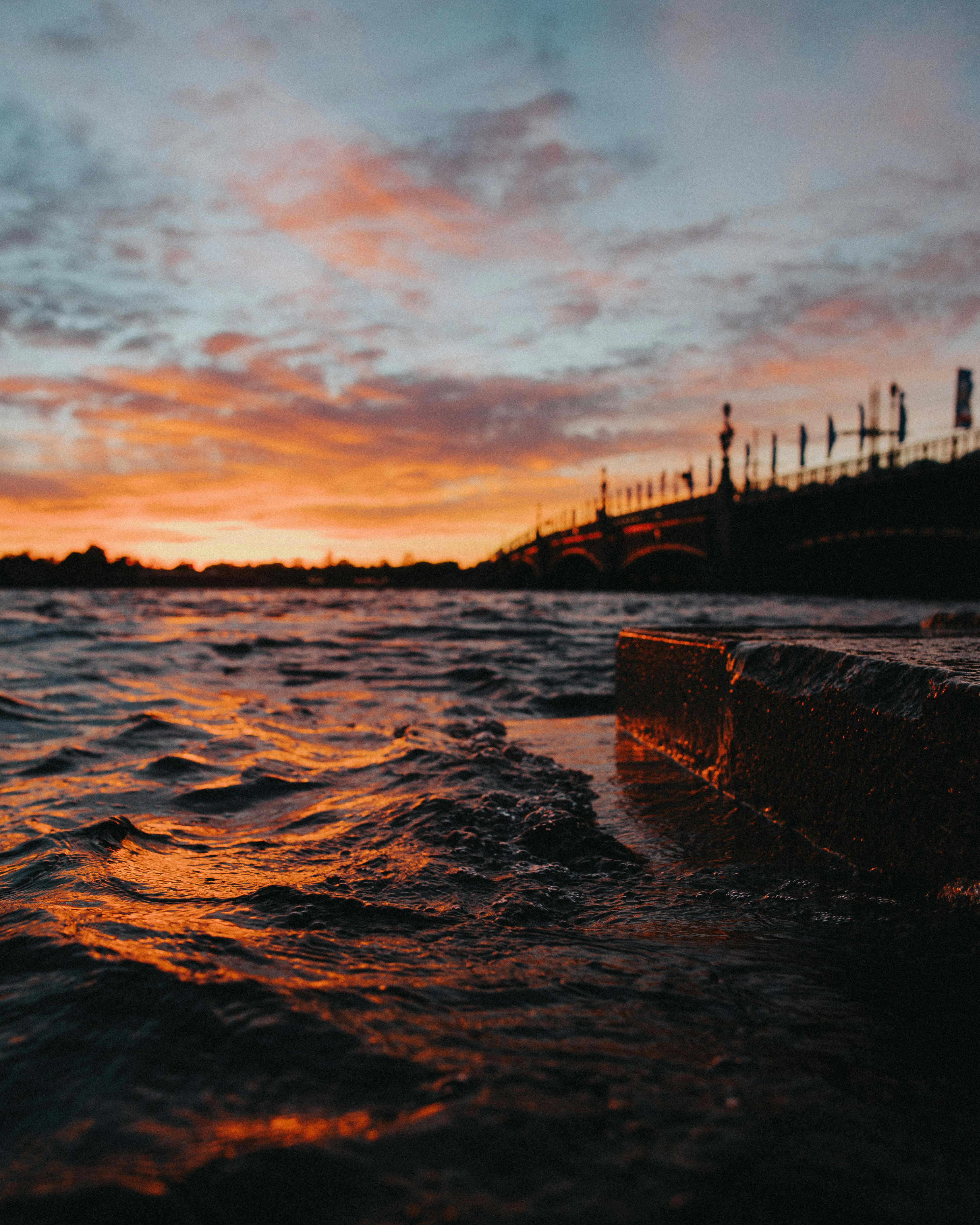 Pink De Neva Zelanda Photos, Download The BEST Free Pink De Neva ...