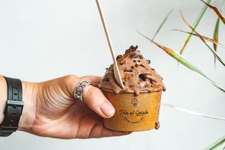The Icee Company: History, Overview, and Background