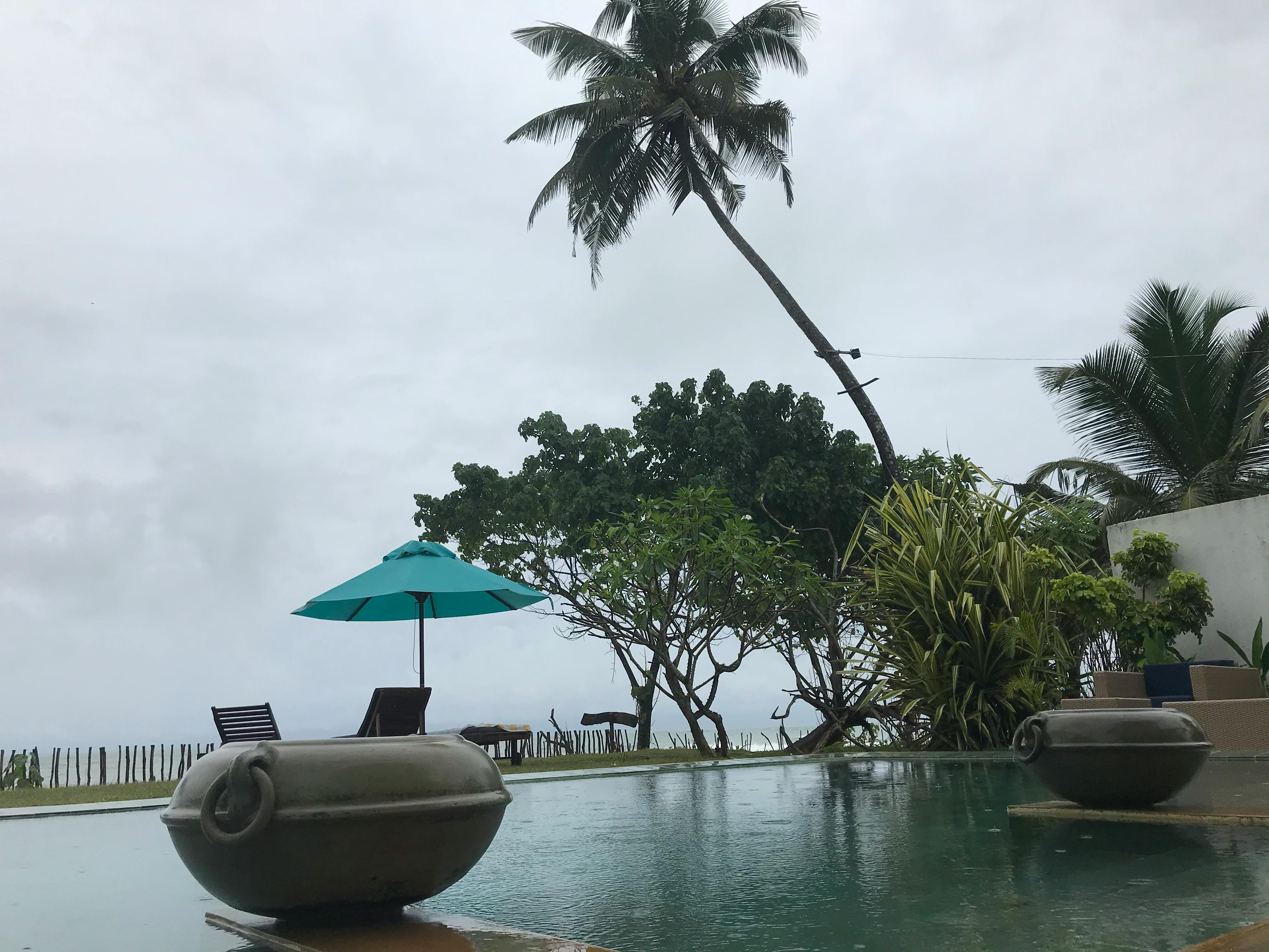 Elena Stepanova - Photography