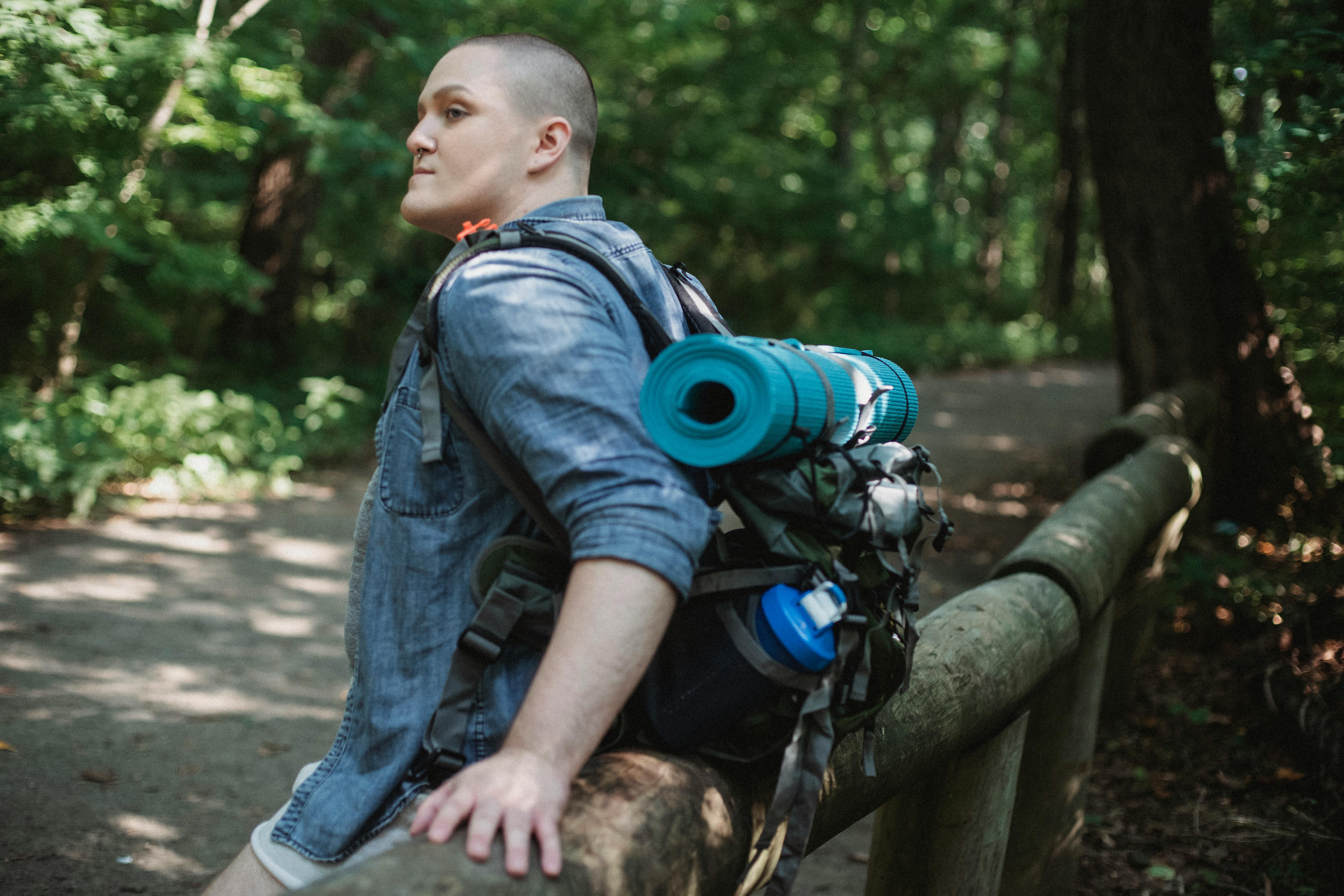 Wood Exploring Photos, Download The BEST Free Wood Exploring Stock ...