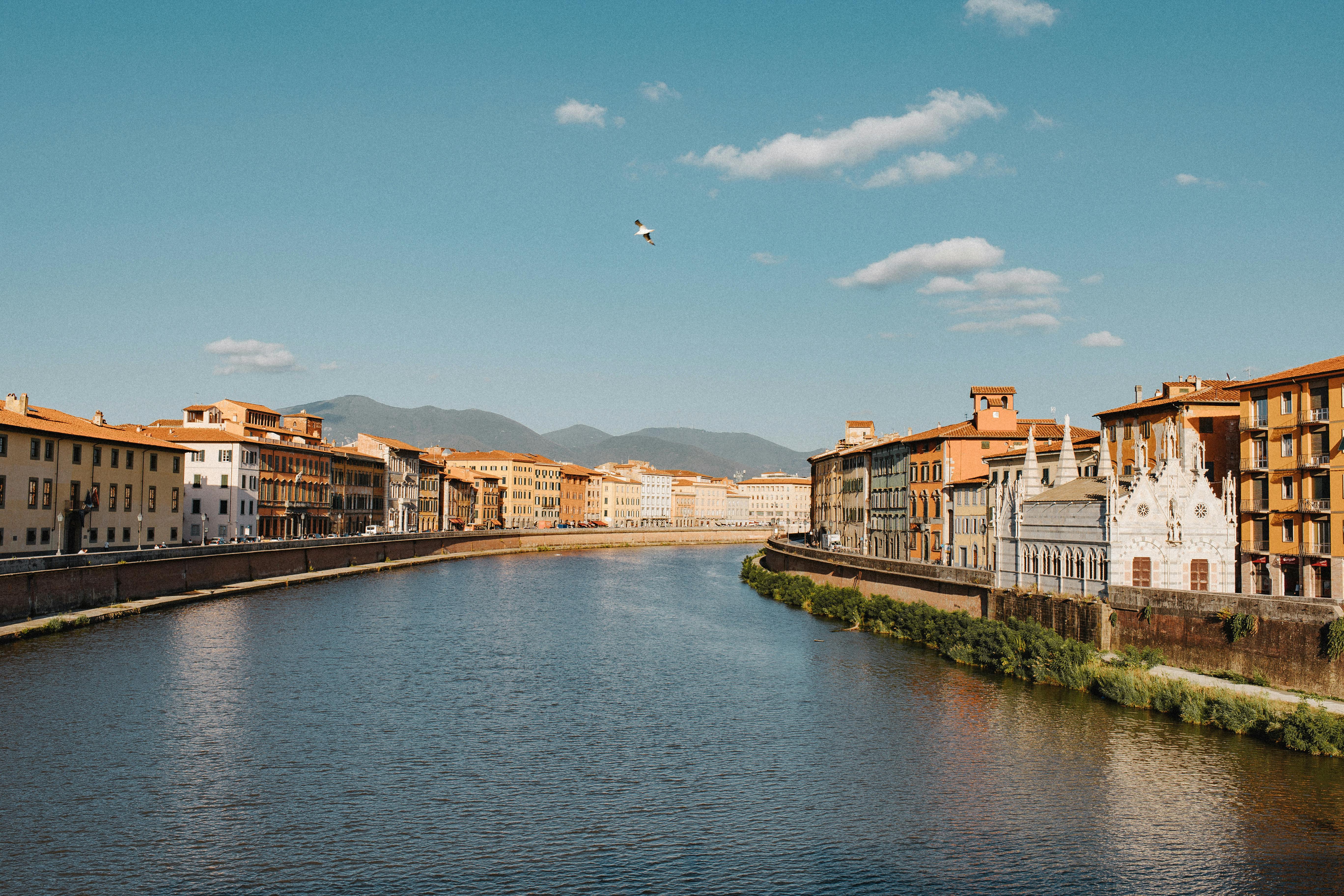 Concrete Buildings Beside the River · Free Stock Photo