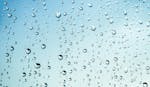 Water Droplets Photos, Download The BEST Free Water Droplets Stock ...